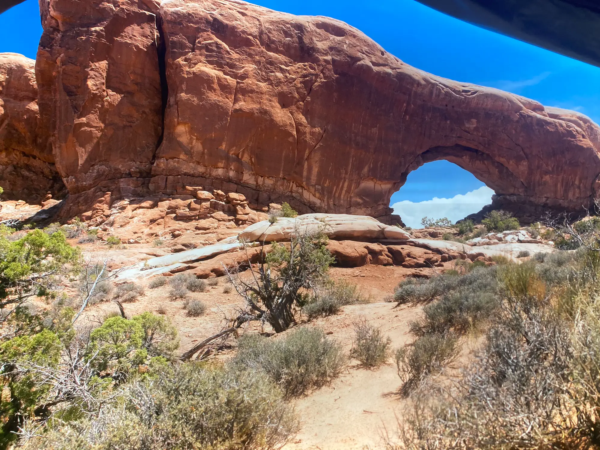 Art from my adventure today | Gallery posted by Ash | Lemon8