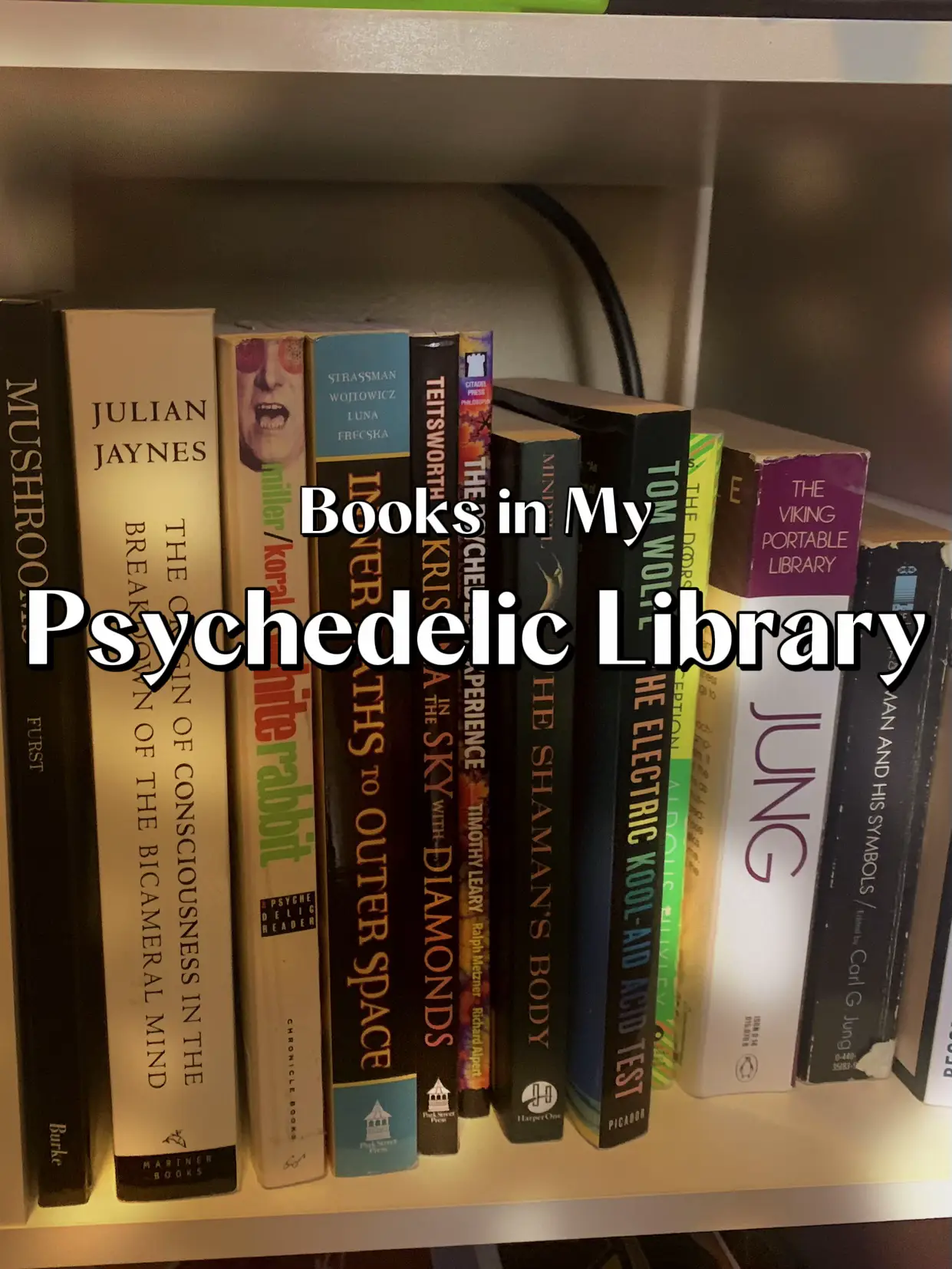 something for your mind 🍄 | Gallery posted by earthangelz | Lemon8