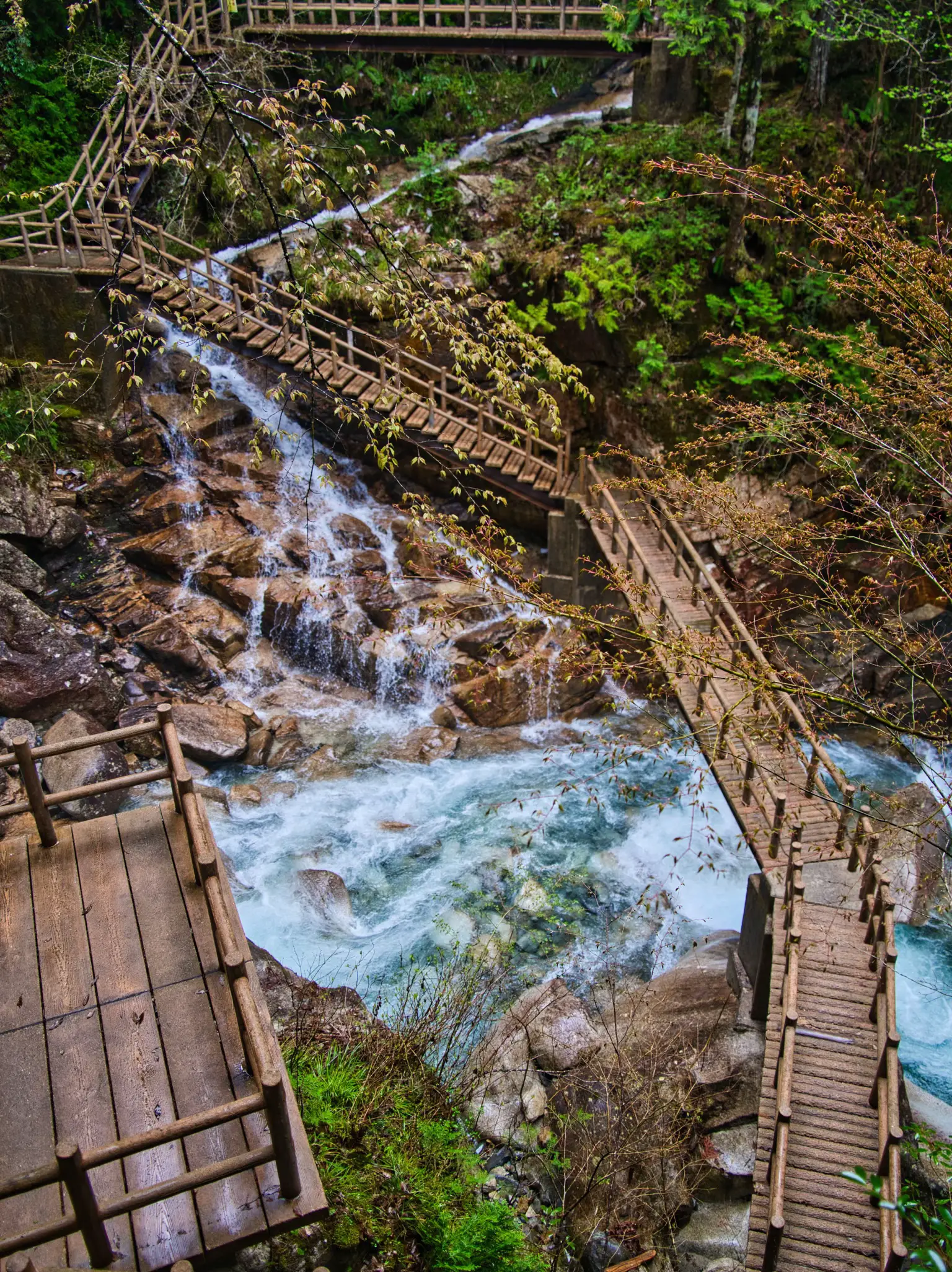 Gifu 】 Recommended ⭐ 5 waterfalls superb view Introducing the spot ...