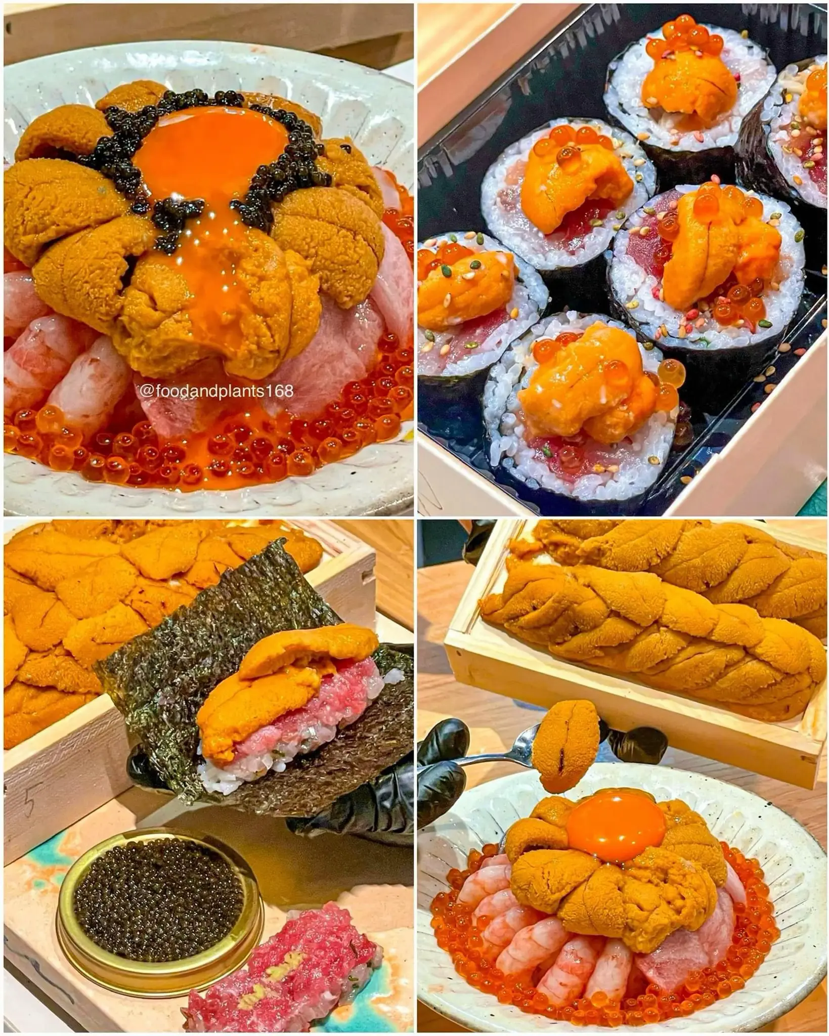 Yummy 😋 | @food&plants168が投稿したフォトブック | Lemon8