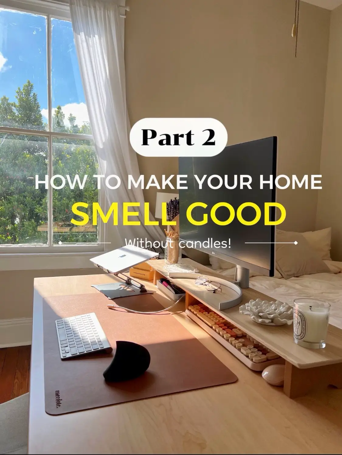 How to make your home smell good - Part 2! | Gallery posted by Meredith Jao | Lemon8
