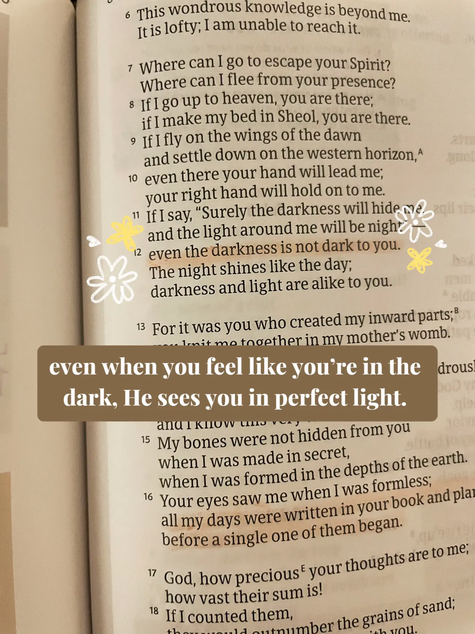 He knows you 🥰 | Gallery posted by madylueders | Lemon8