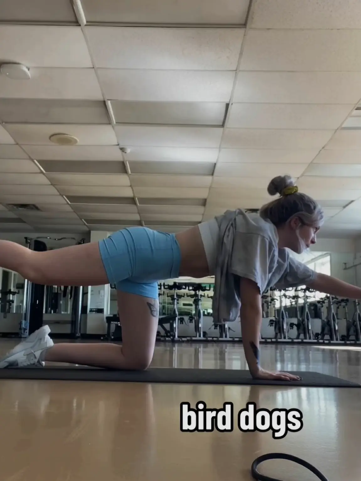 My Staple Deep Core Exercises (pelvic-friendly) | แกลเลอรีที่โพสต์โดย ...