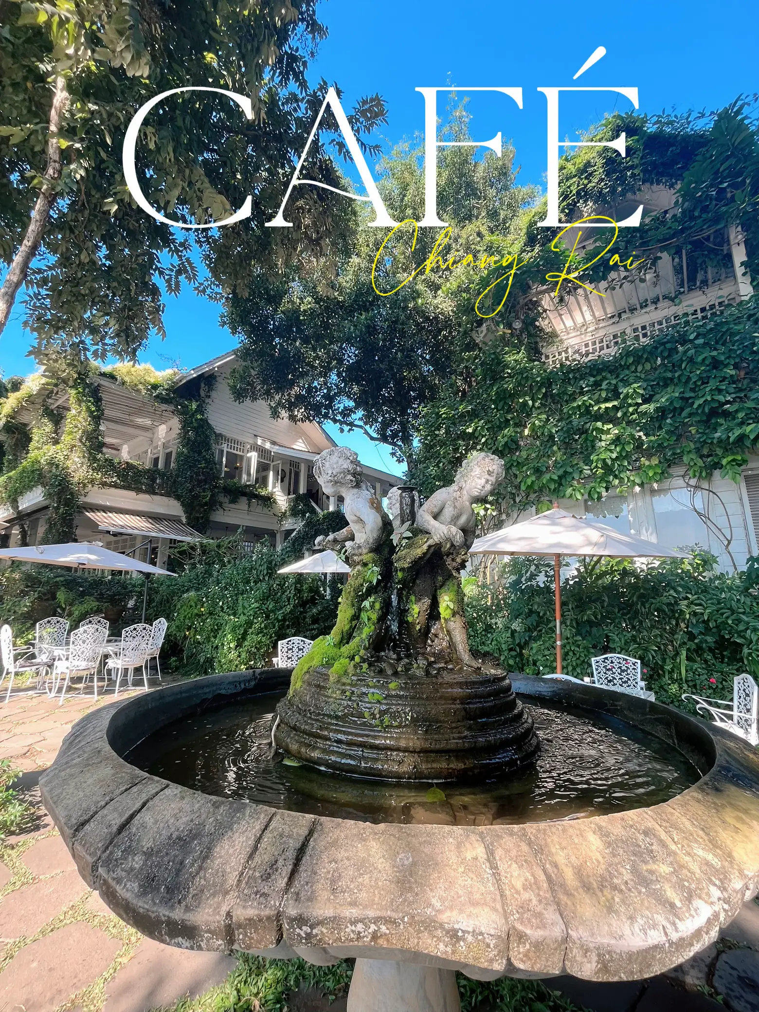 CAFÉ in Chiang Rai | Gallery posted by Callie Jo | Lemon8