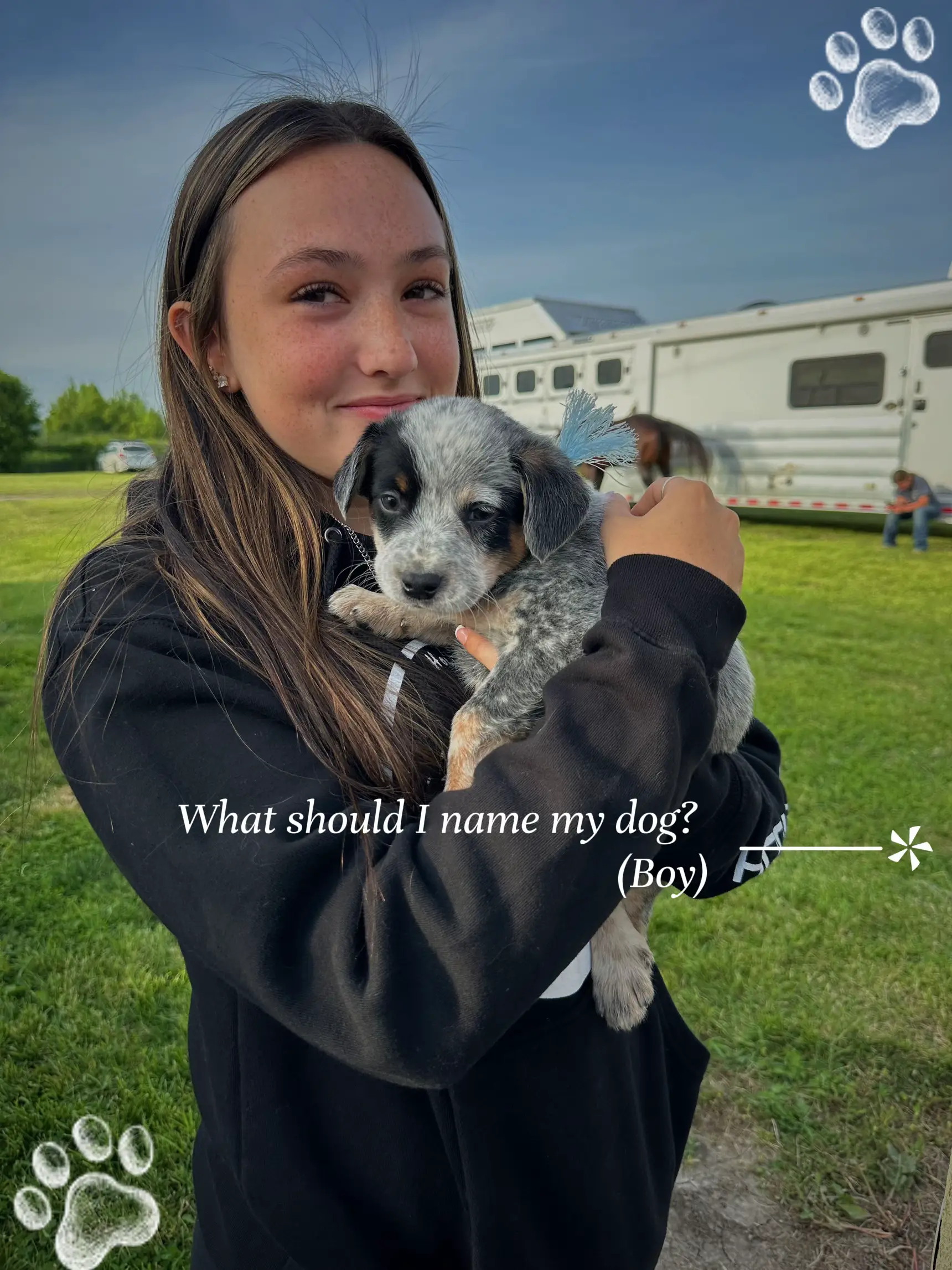 What Should I Name My Dog Boy Gallery Posted By Kenkennebeck Lemon8