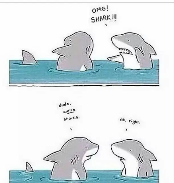 Ahh why is | Gallery posted by Riley_H