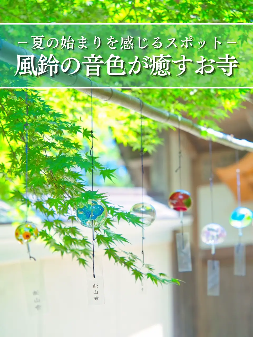 【ชิซูโอกะ】‼️จำกัด แนะนำวัดที่ได้รับการเยียวยาด้วยเสียงแก้วและกระดิ่งลมดีบุก🔍พร้อมแผนที่ แกลเลอ