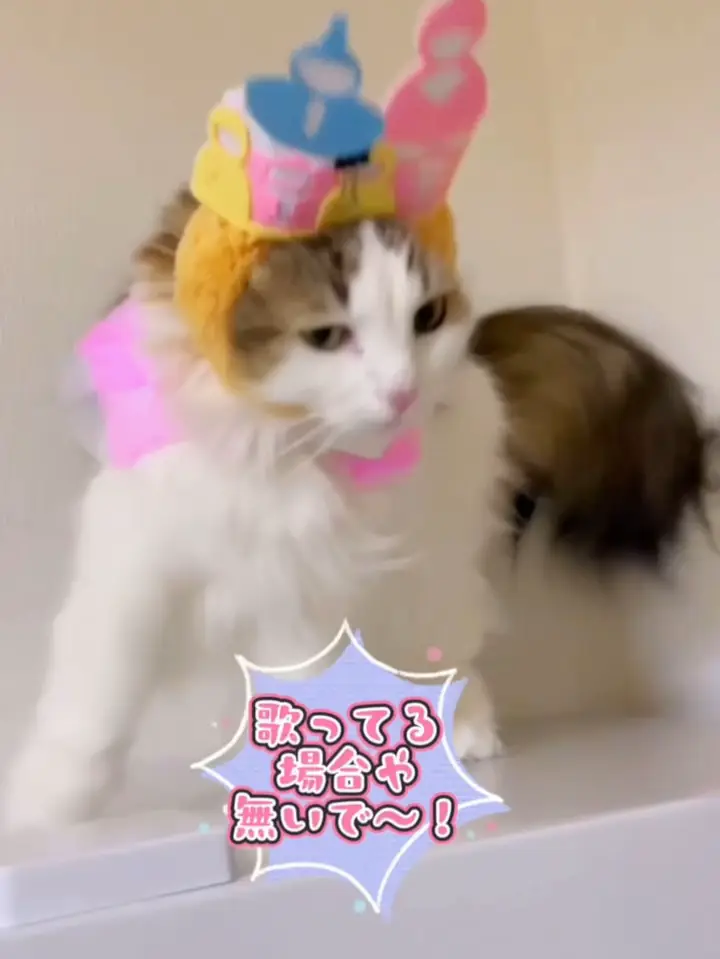 Hinamatsuri คอสเพลย์ Koume | วิดีโอที่เผยแพร่โดย Hirotaku_magic | Lemon8