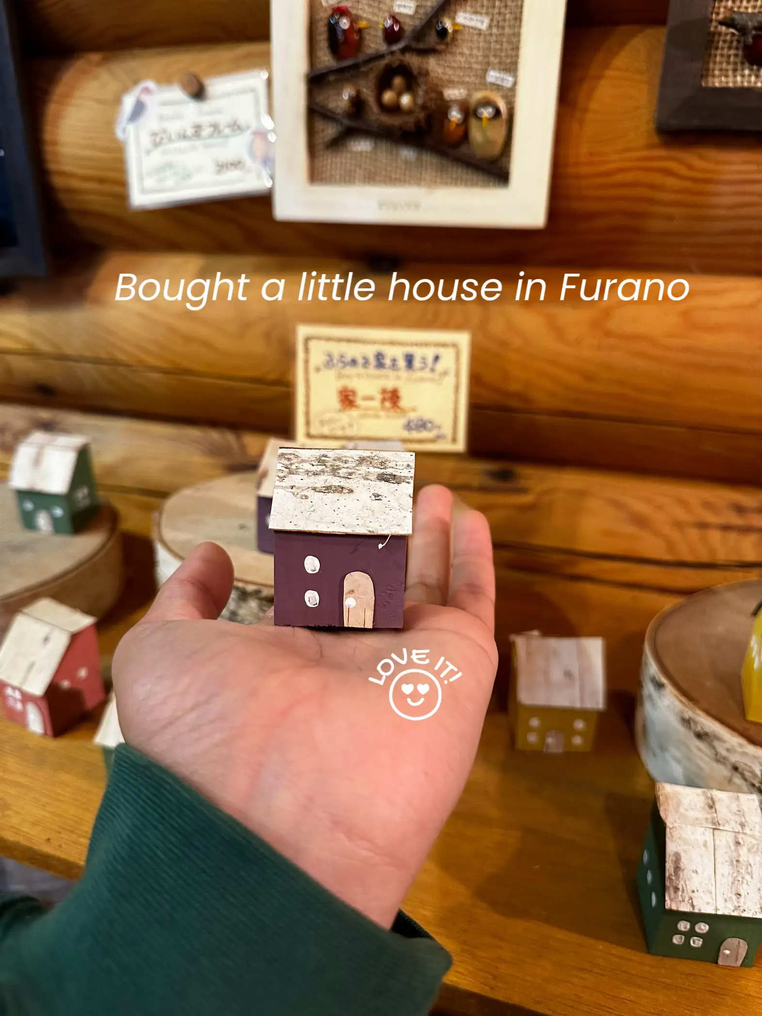 Japan Honeymoon (part 4) | Gallery posted by Alex Probst | Lemon8