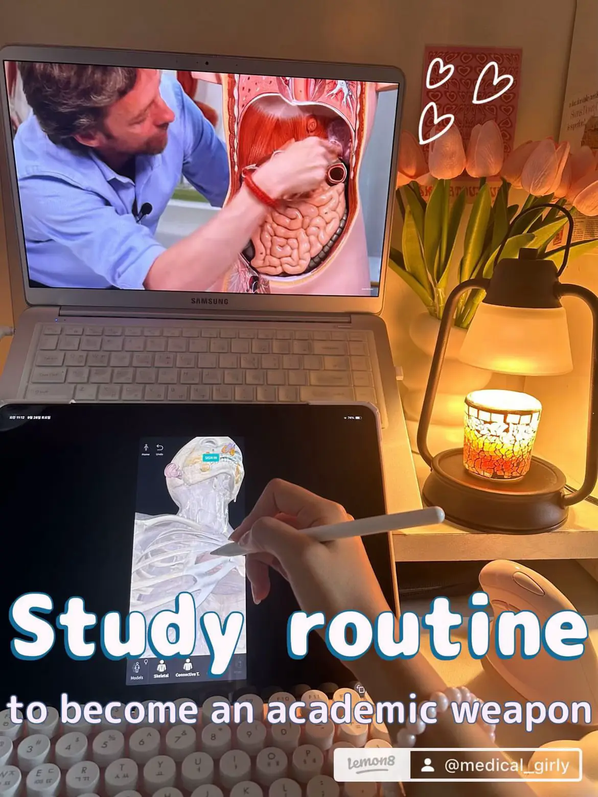 How to Create A Successful Study Routine for Med School | 2024 real ...