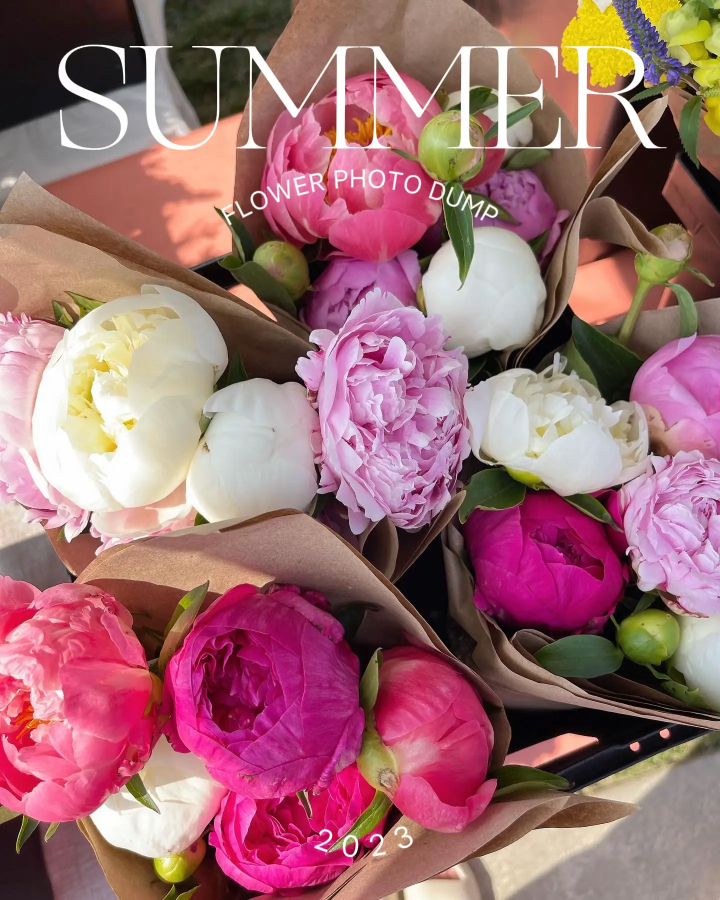 SUMMER FLOWER PHOTO DUMP | Gallery posted by RVCHVEL | Lemon8
