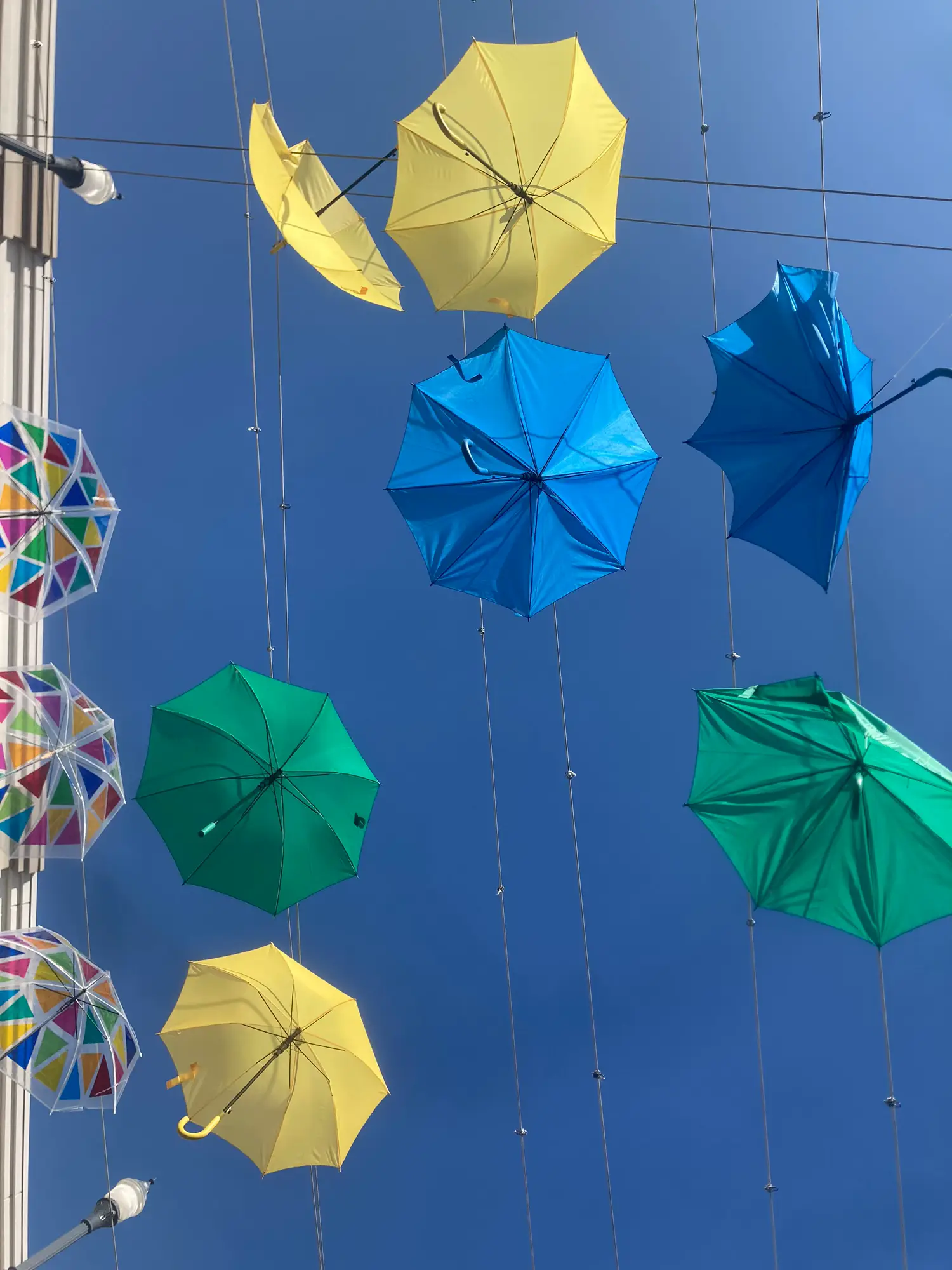 Art from my adventure today | Gallery posted by Ash | Lemon8