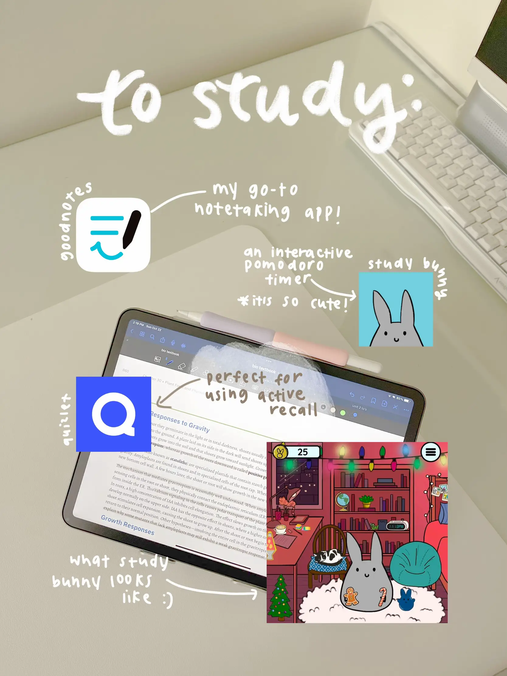 apps for students 🫶 🤍 | Gallery posted by lia | Lemon8