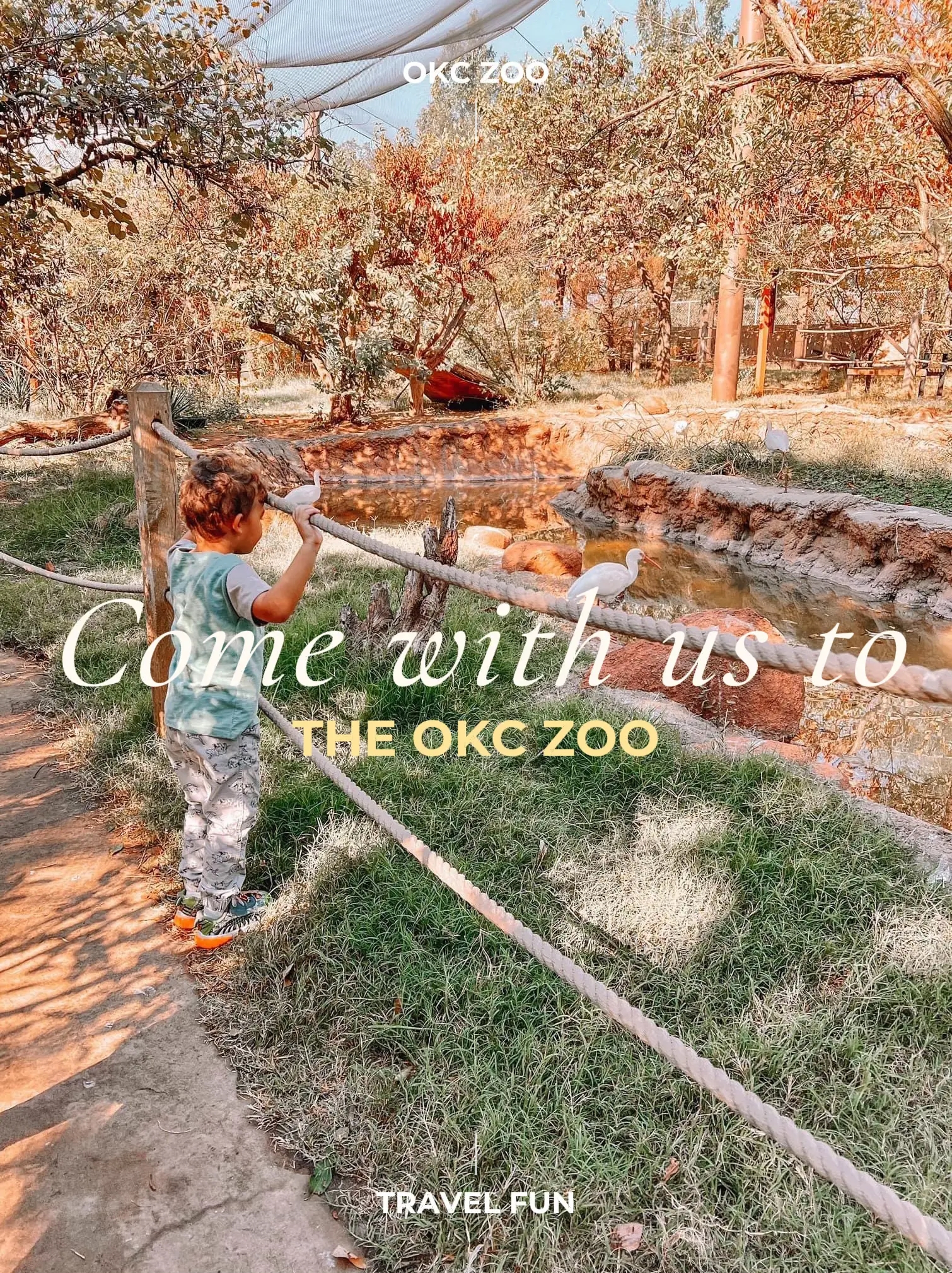 OKC ZOO TRIP | Gallery posted by Faith Briar 🫧 | Lemon8