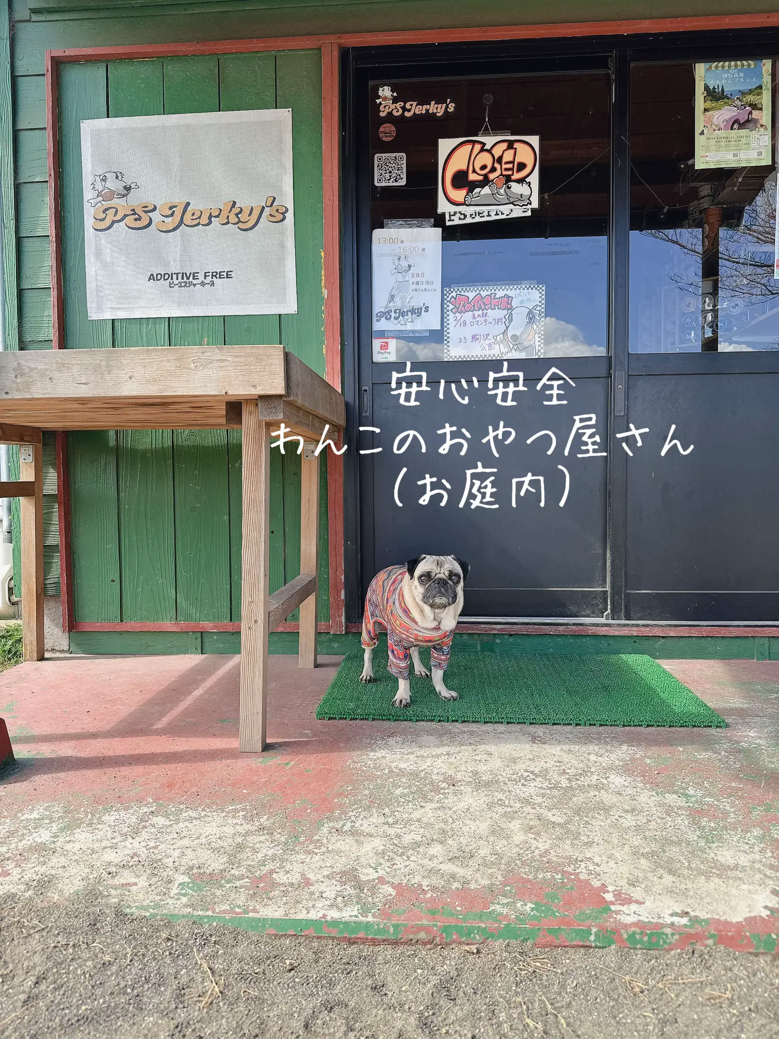 『神門村喫茶zizi』壮大なお庭🐕 ͗ ͗ | パグのももこ🍑ぷっち🍎です🐾が投稿したフォトブック | Lemon8