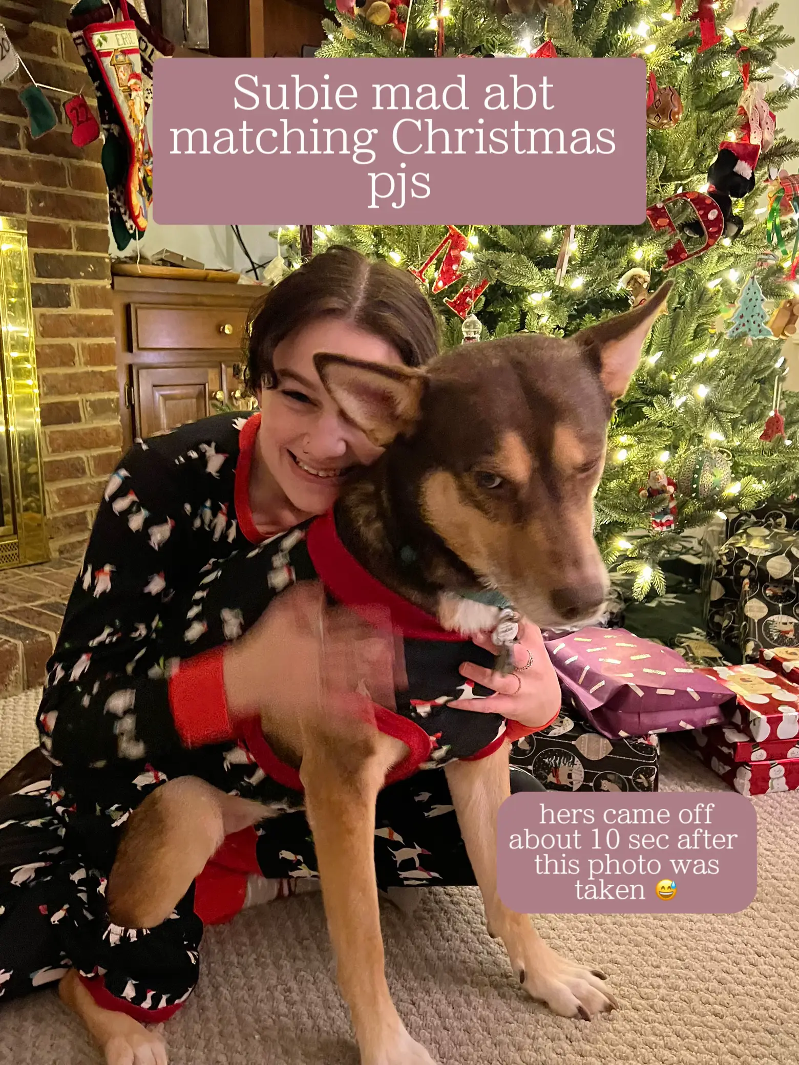 Pictures of my dog to brighten your feed | Gallery posted by ani | Lemon8