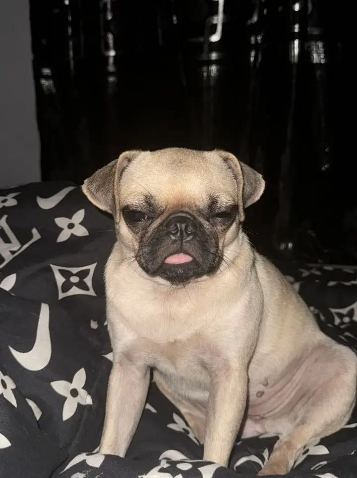 Funny 😄 | Gallery posted by Chika Junior’s | Lemon8