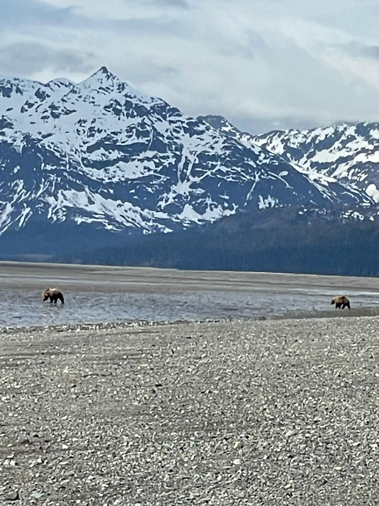 Alaska Itinerary Days 6 & 7 | Gallery posted by Roinmia | Lemon8