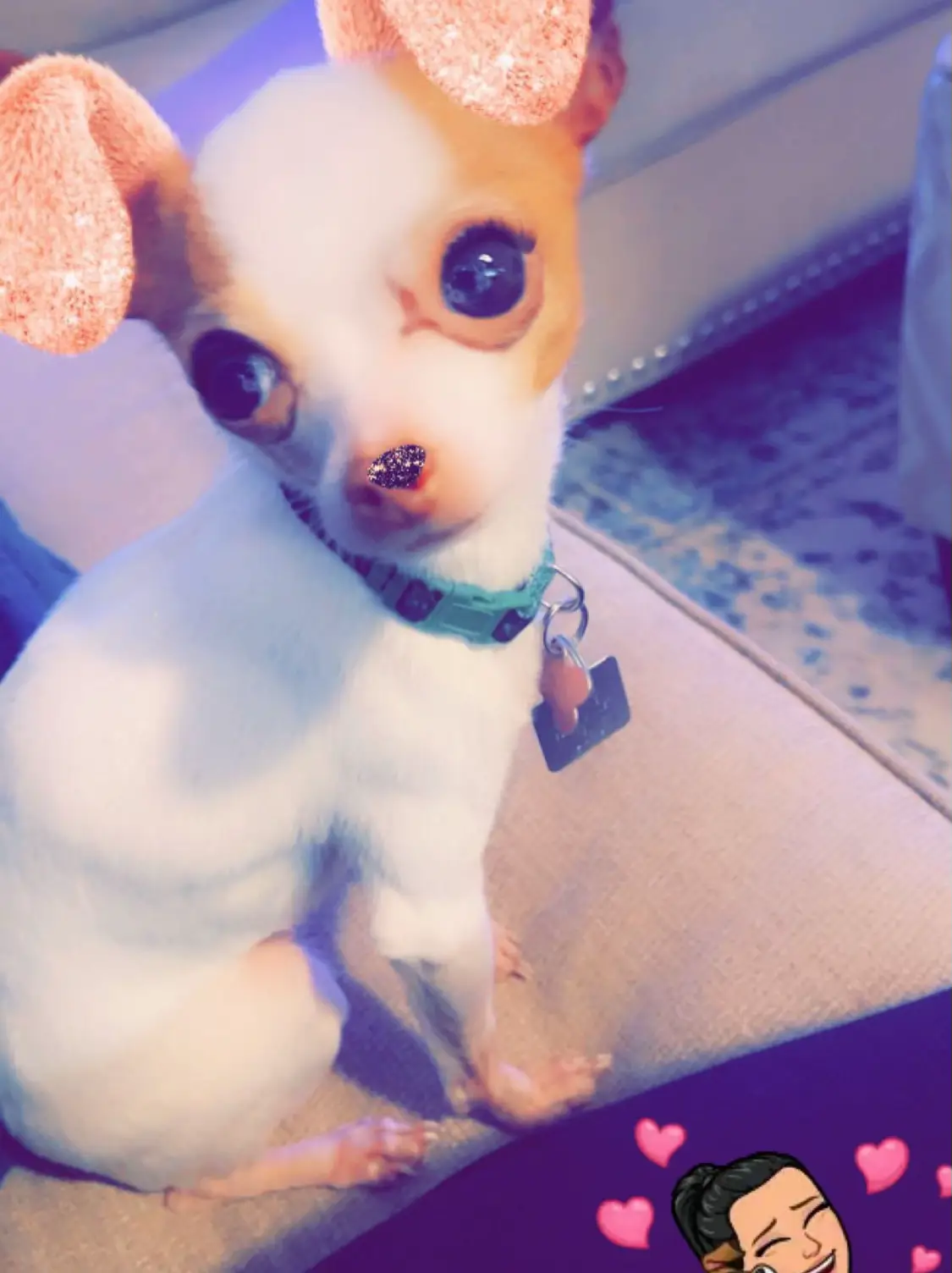 Chlo-Chlo | Gallery posted by Munbun | Lemon8