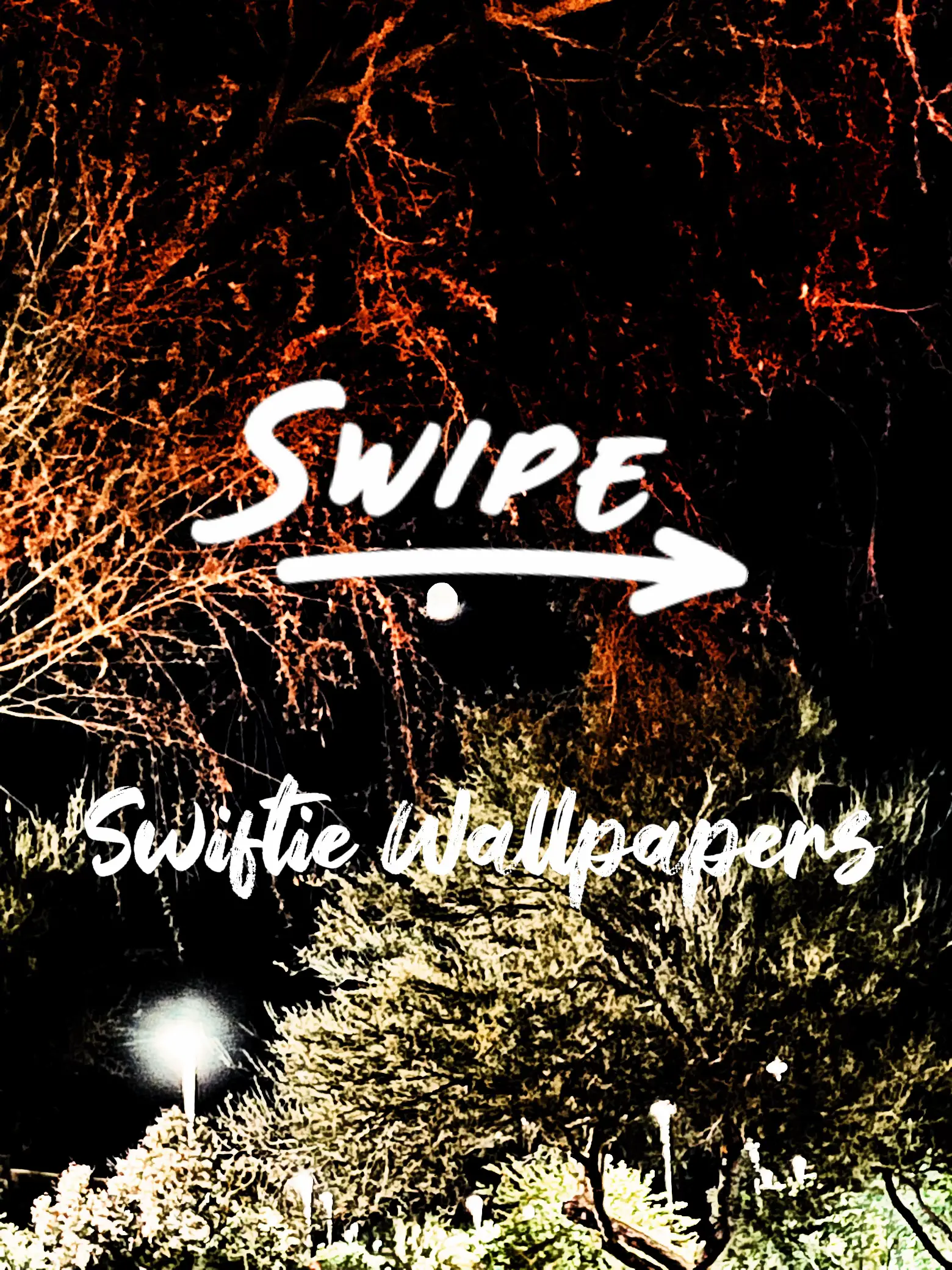 Swiftie Wallpapers | Gallery posted by Swiftiee | Lemon8