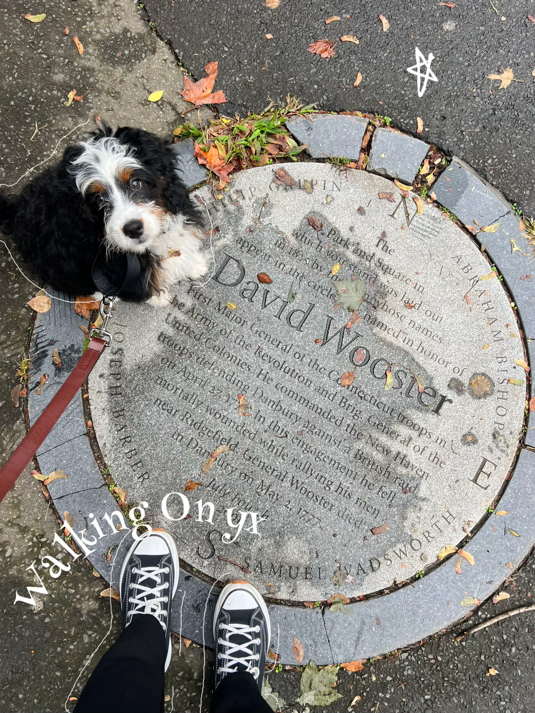 Walking Onyx | Gallery posted by Tianna Mobley 🥀 | Lemon8