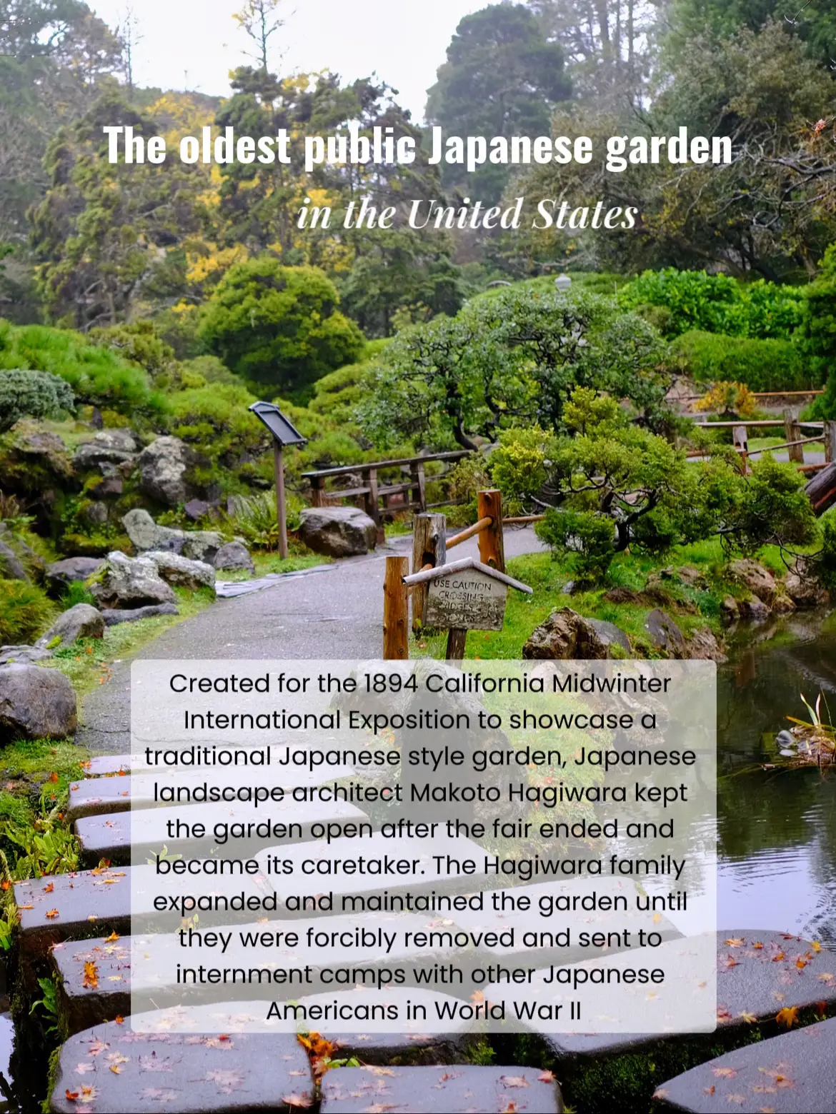 Japanese Tea Garden in San Francisco | แกลเลอรีที่โพสต์โดย Anna | SF | Lemon8