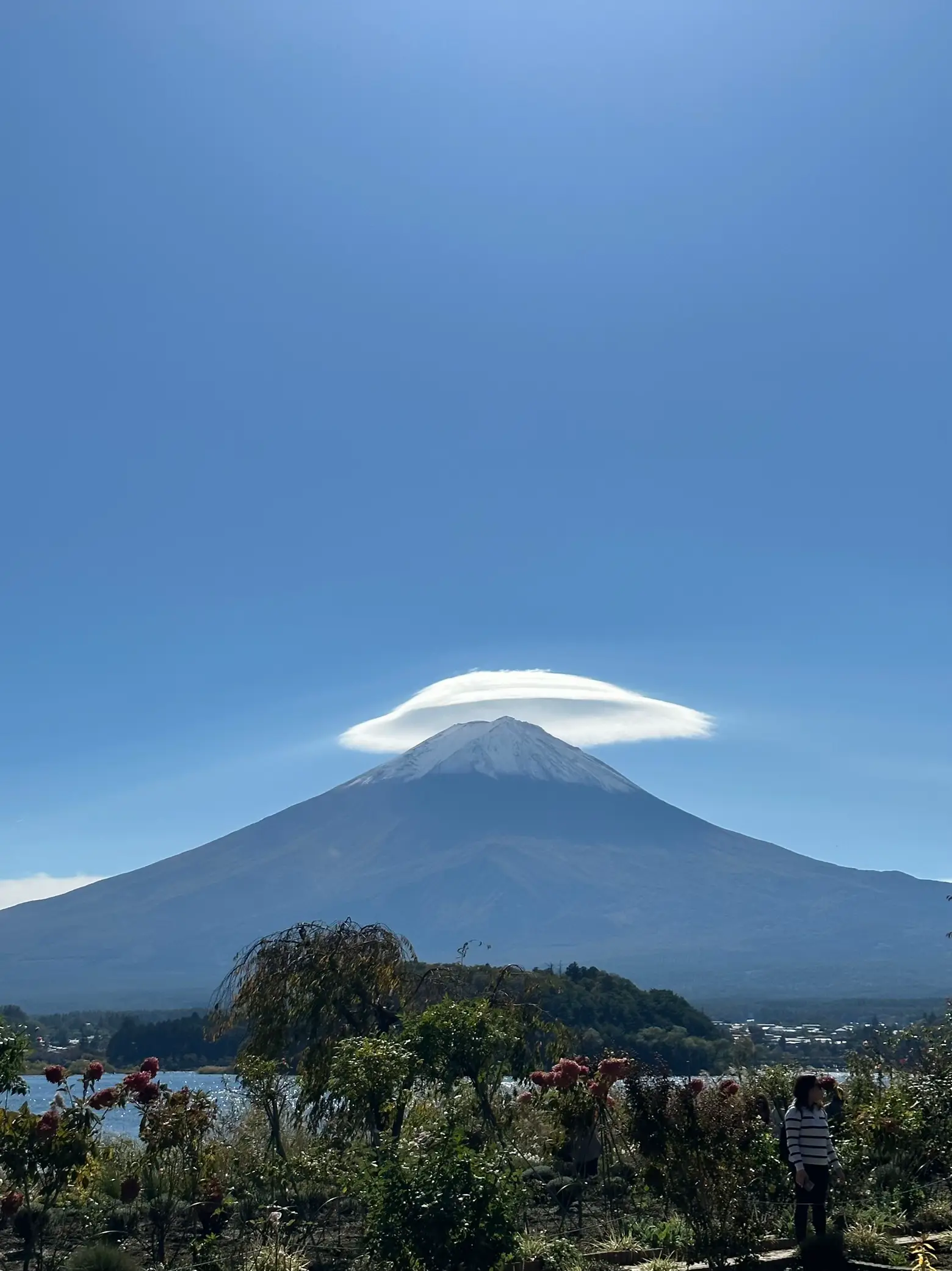 🗻Mount Fuji🗻 | Gallery posted by レチョミ | Lemon8