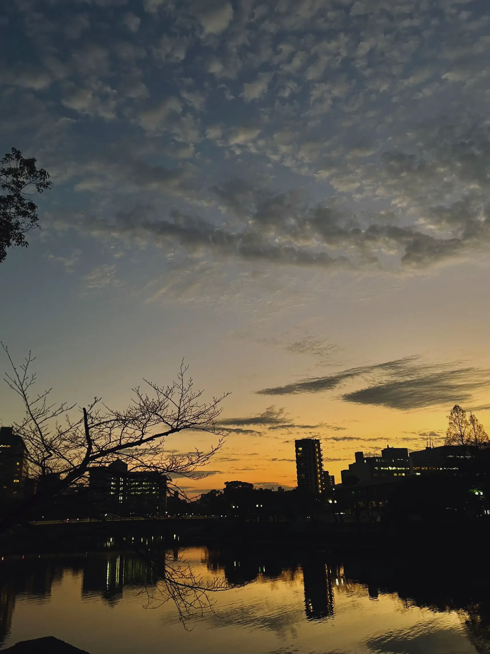 that brings me happiness | Gallery posted by Madison Tidwell | Lemon8