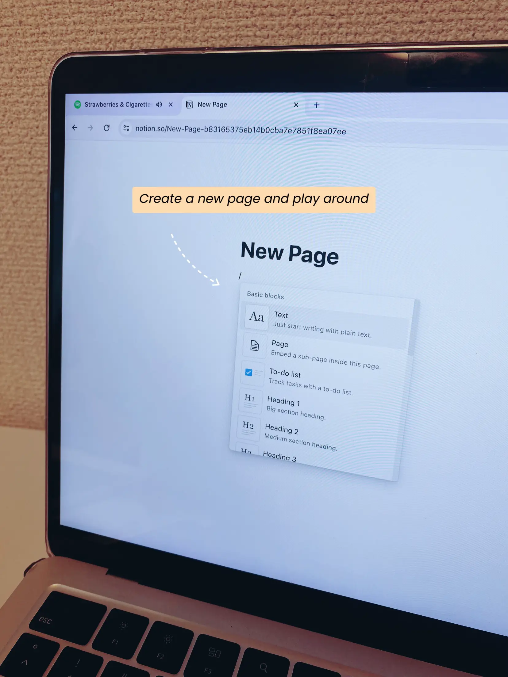 How to get started with Notion 🫶 | Gallery posted by Mindstudyio | Lemon8