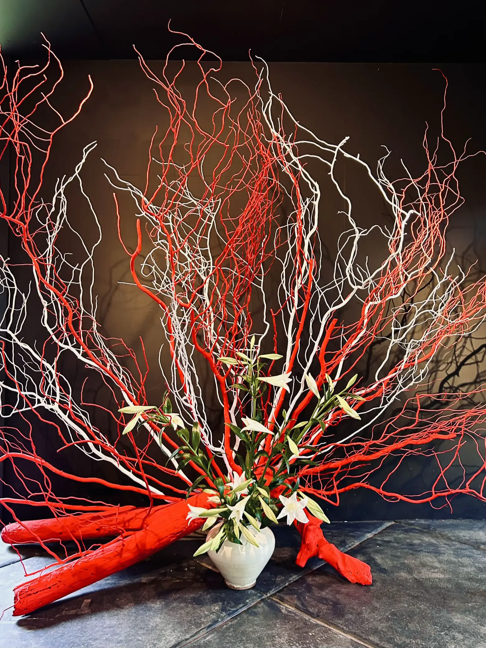 Shimane 】 Ginseng Daikon Island where you can enjoy peonies all year ...