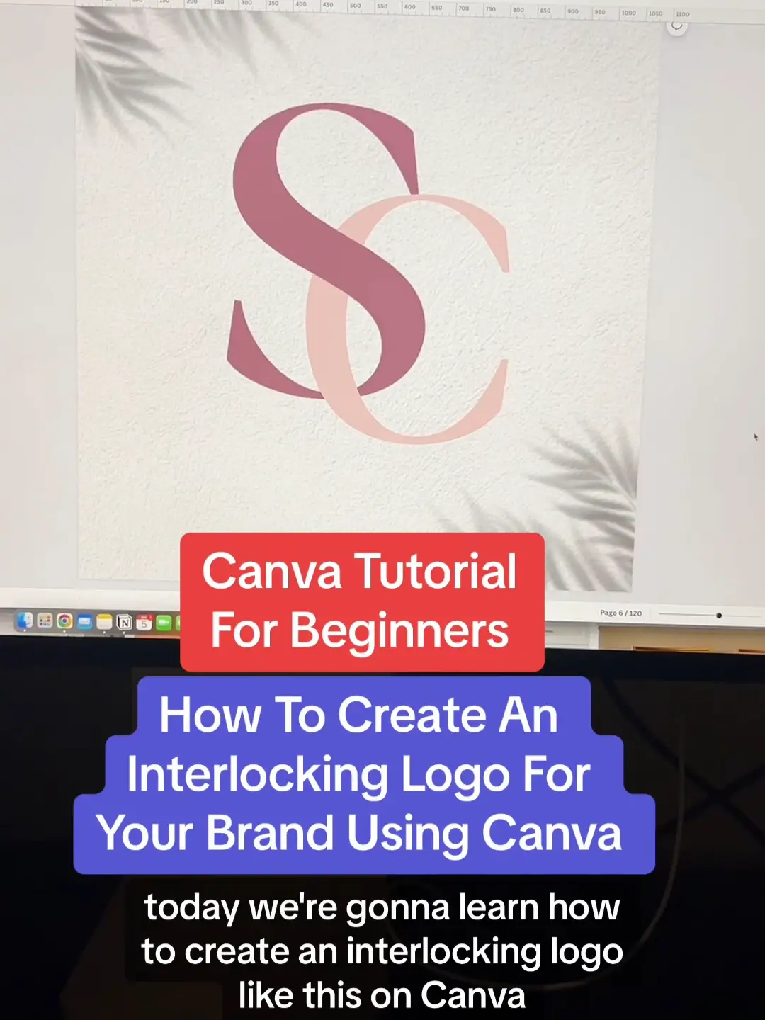 How to Make A Logo in Canva | 2024 real user experience on Lemon8