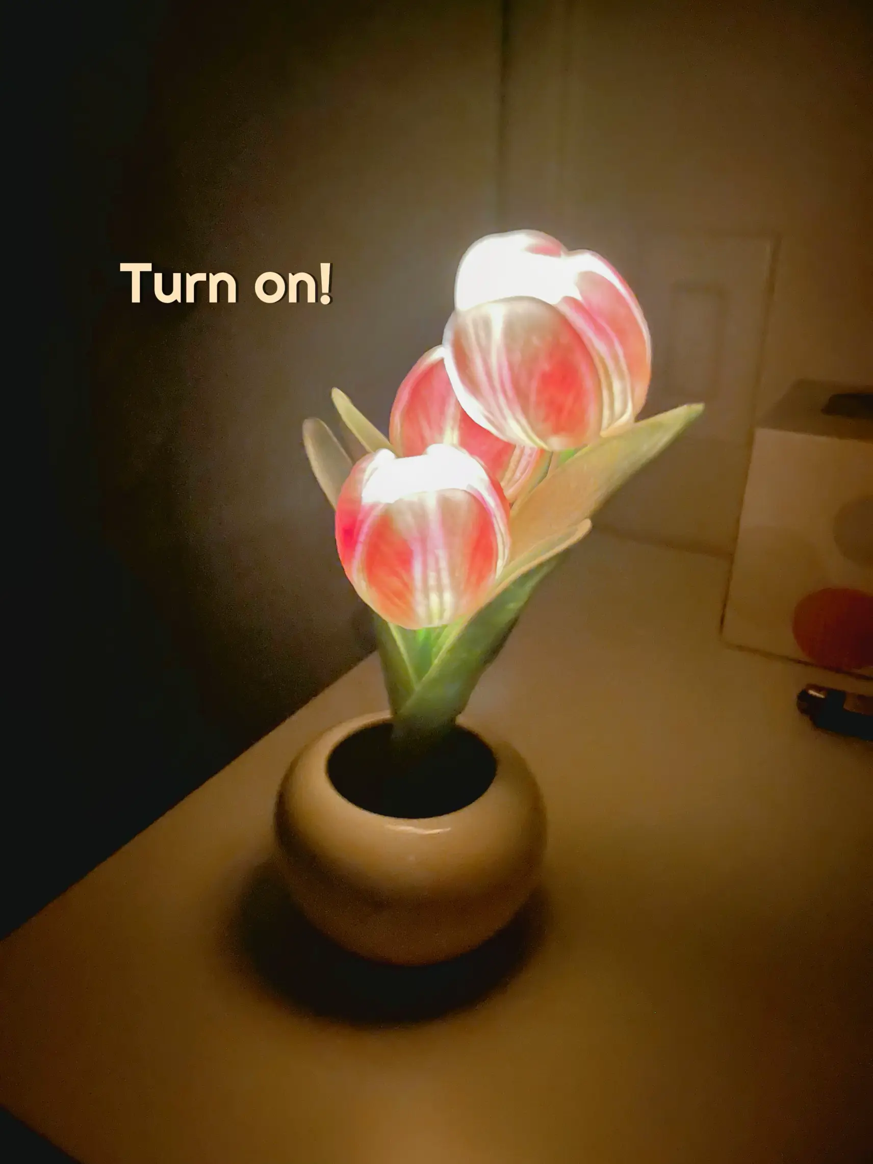 Temu Finds Spreadsheet - Lemon8 Search