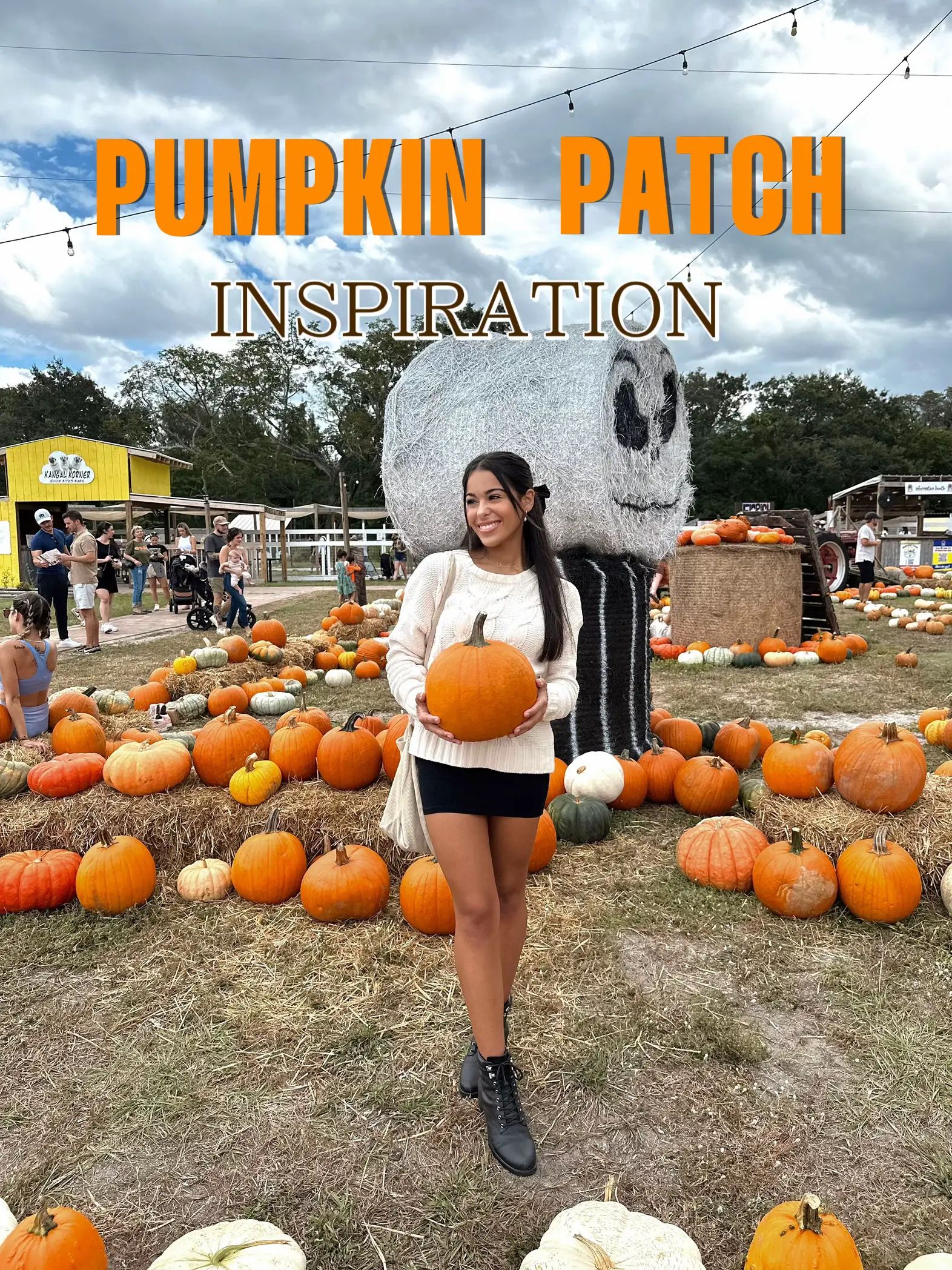 Pumpkin Patch Inspiration | Gallery posted by Alexia Panagos | Lemon8
