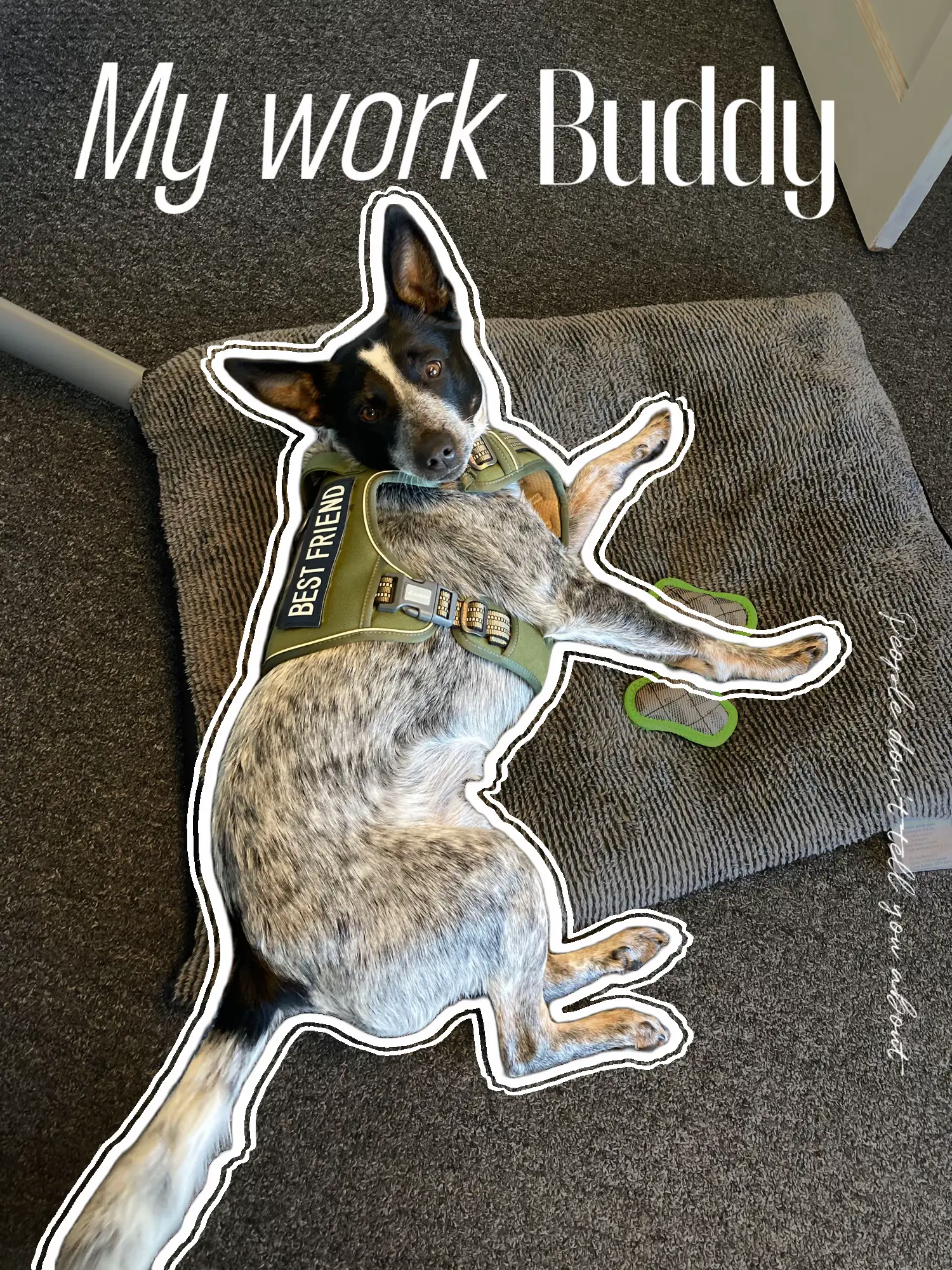 My work buddy | Gallery posted by Dyslexa | Lemon8