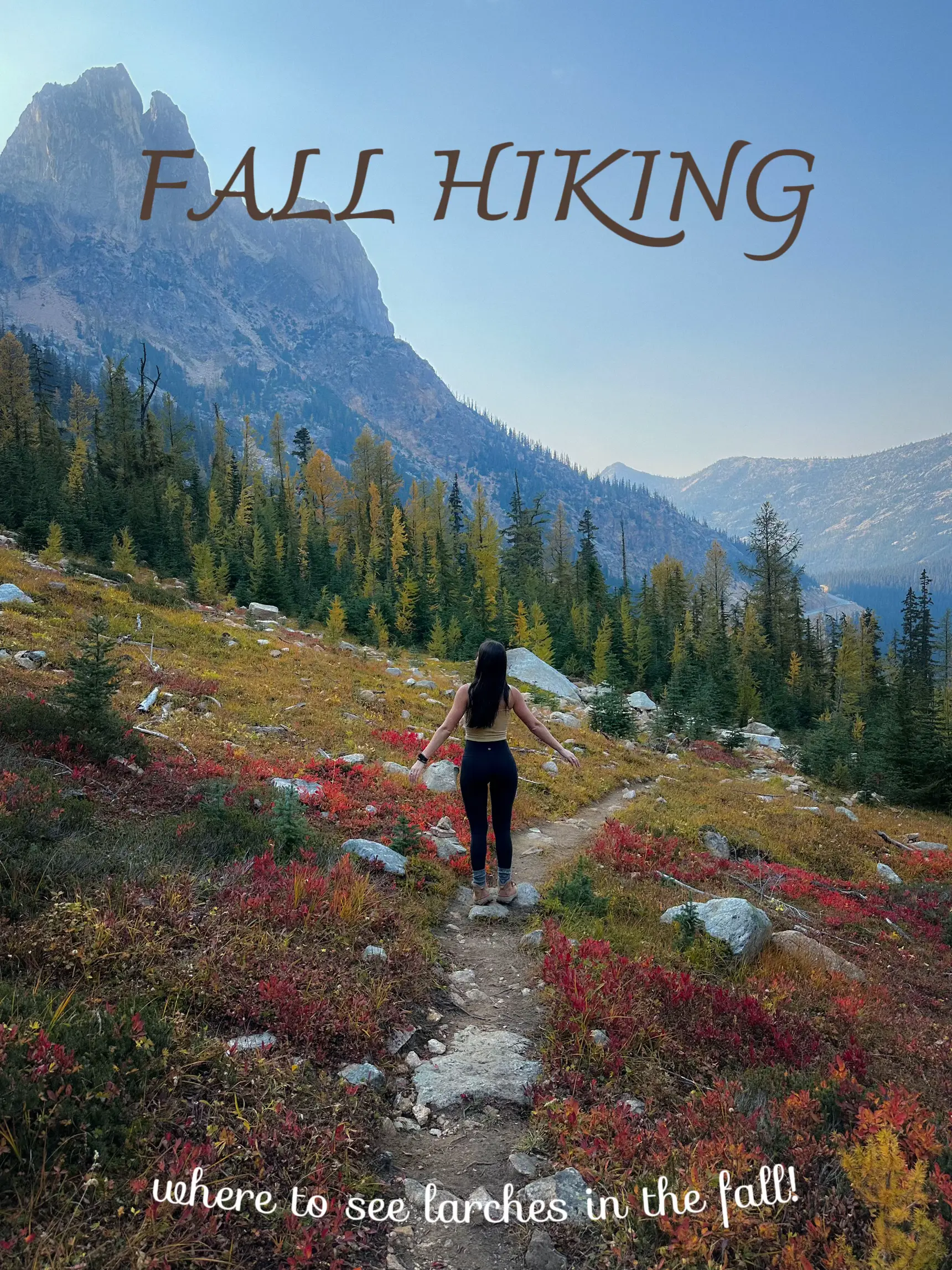 Where to find larches for fall | Gallery posted by AMANDA | pnw🌿 | Lemon8