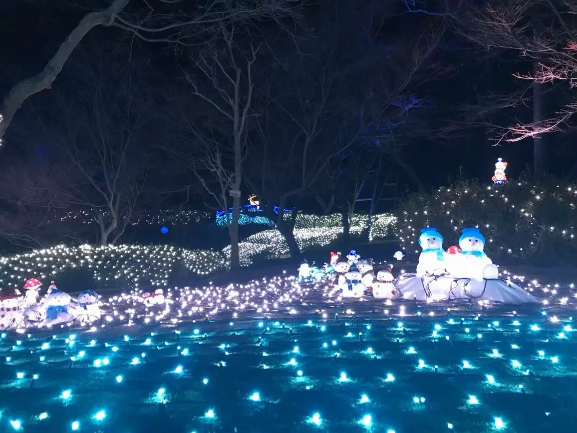 なら瑠璃絵 | AKIが投稿したフォトブック | Lemon8