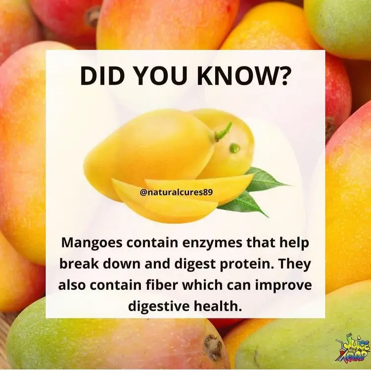 Benefits of Mangos | Gallery posted by Dr. Sebi | Lemon8