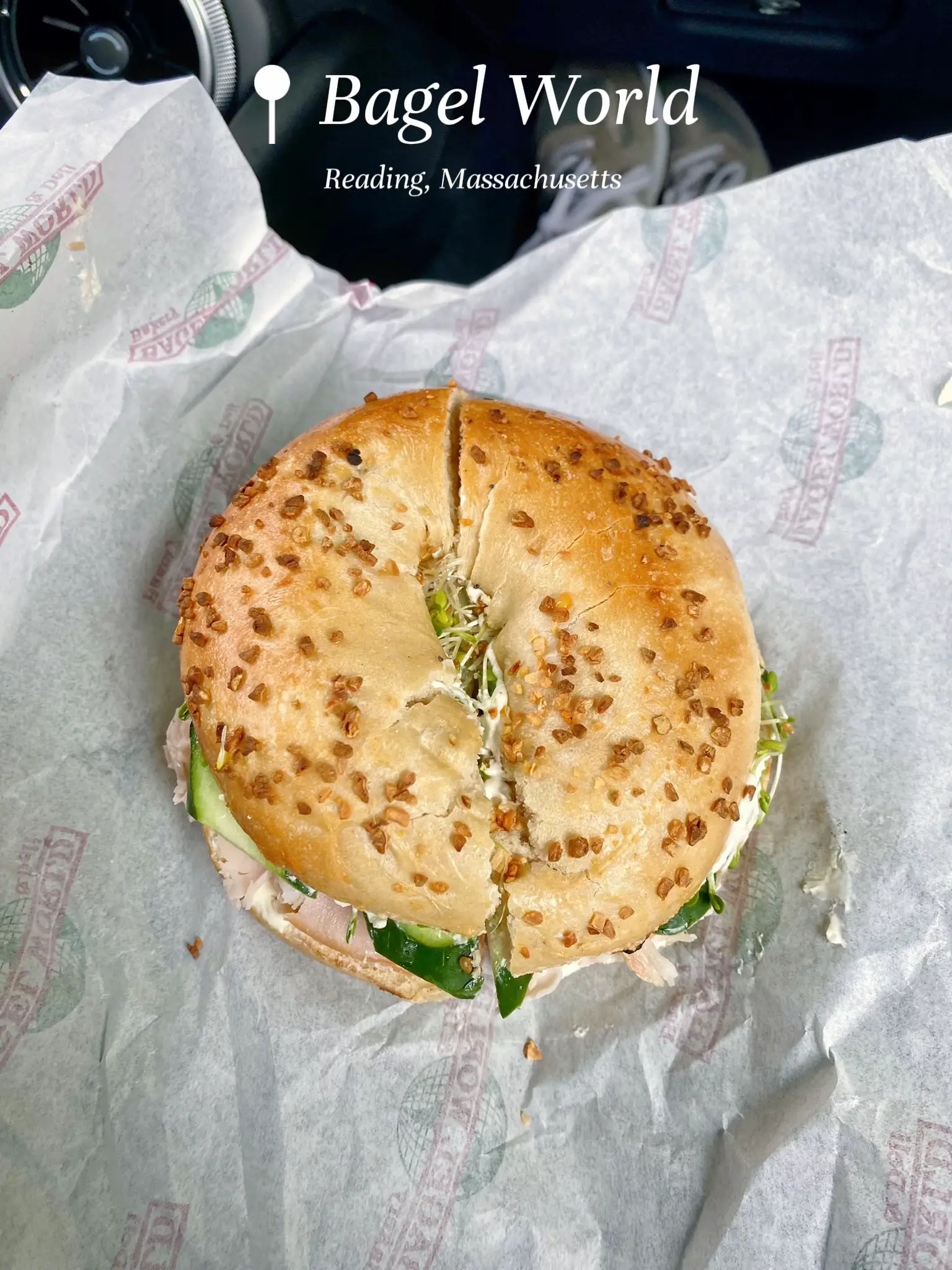 Best Bagles in Boston 🥯 | Gallery posted by Angela B | Lemon8