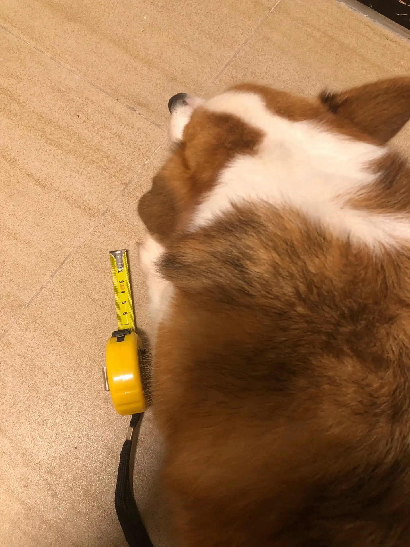 answer - Lemon8 Search