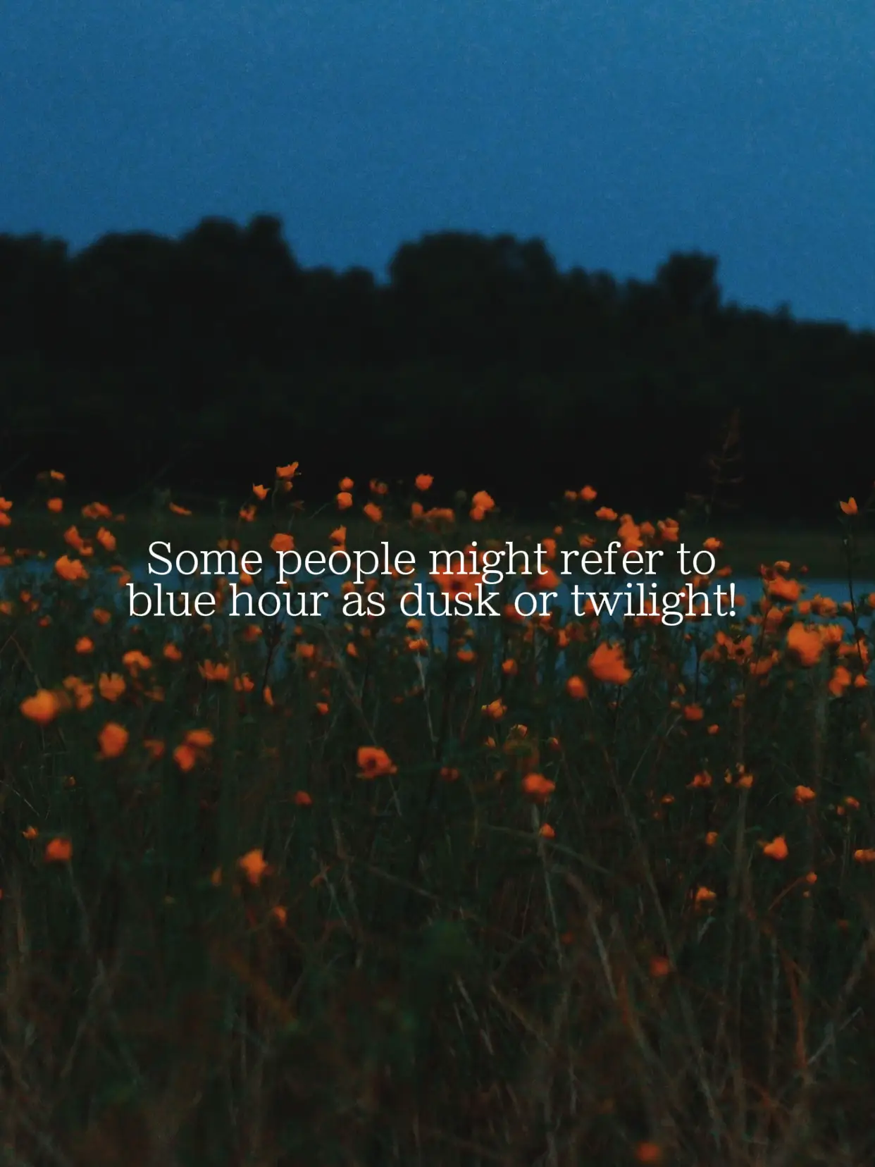 Blue hour | Gallery posted by han 🕯 | Lemon8