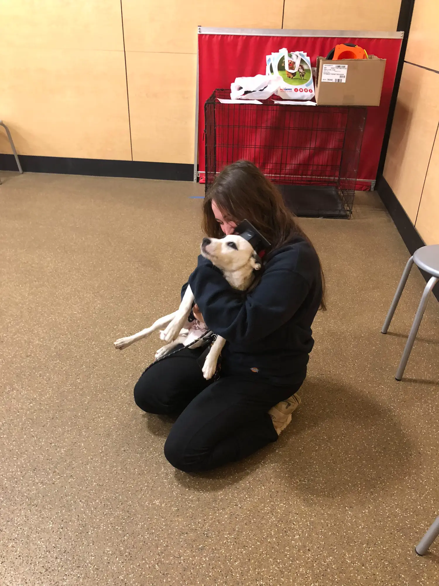 Puppy schools graduation | Gallery posted by Emme | Lemon8