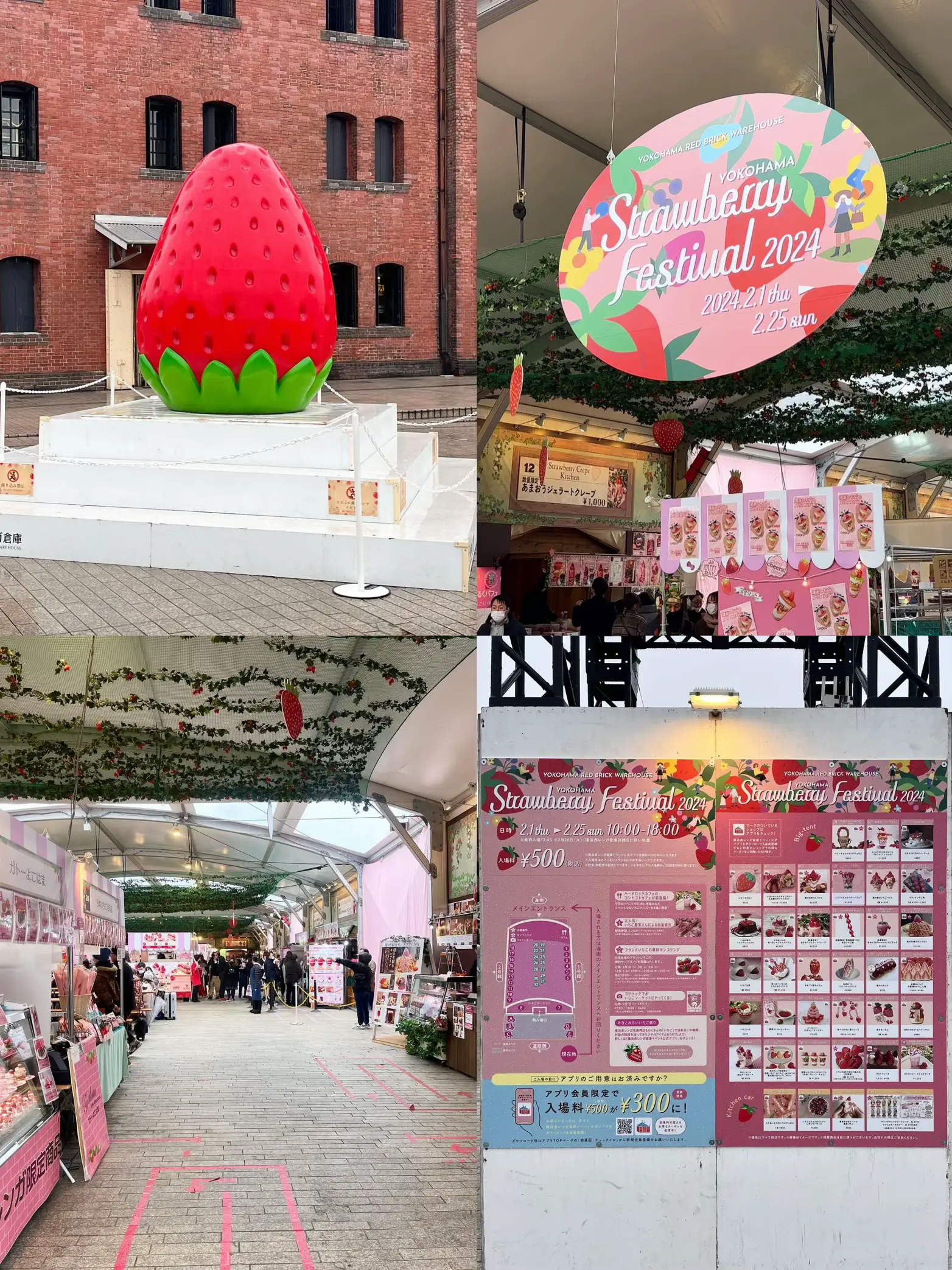 [Strawberry lovers must-see 🍓] A popular strawberry event is held every ...
