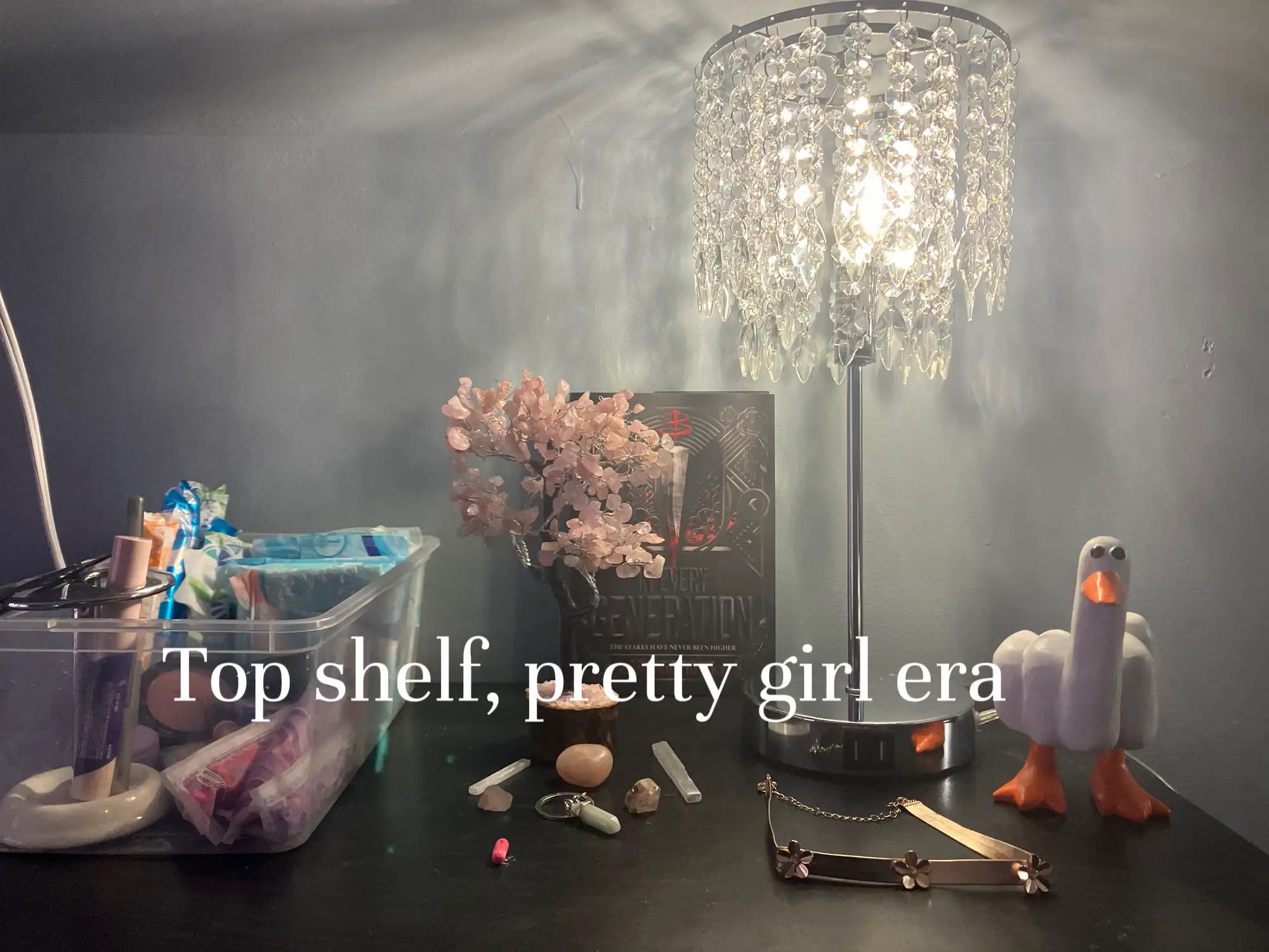 Pretty girl and nostalgia shelves | Gallery posted by Ebs🥨 | Lemon8
