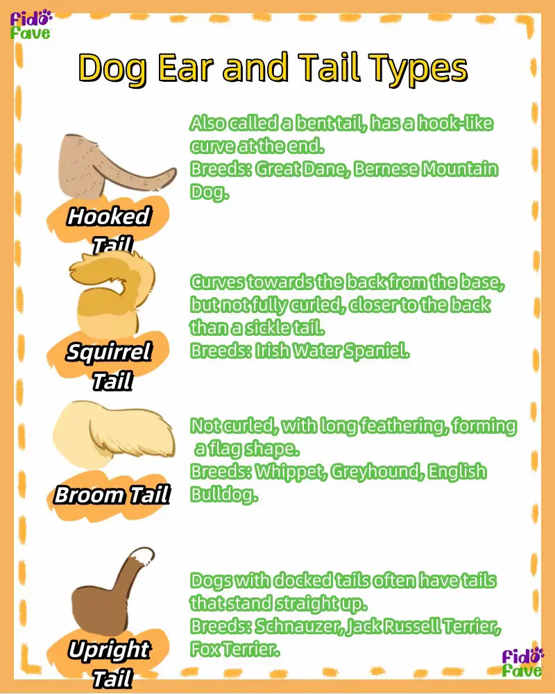 Dog Ear and Tail Types- Dog Breed Match | Gallery posted by Fido Fave ...