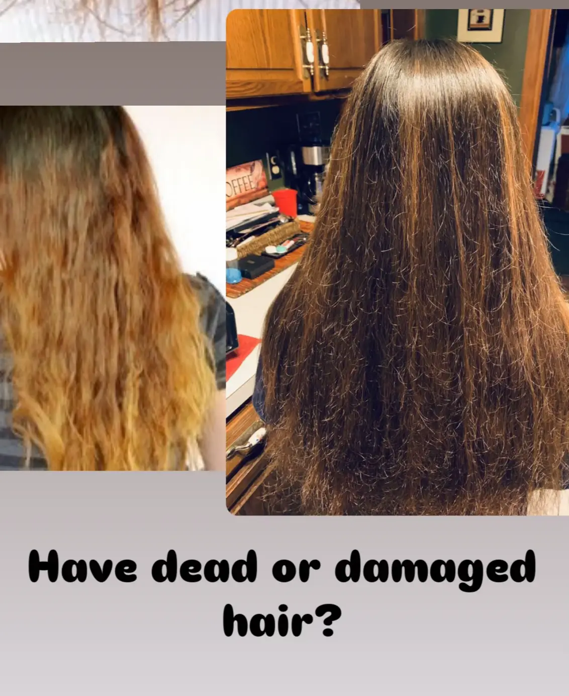 How to Get Red of Dead Hair | 2024 real user experience on Lemon8