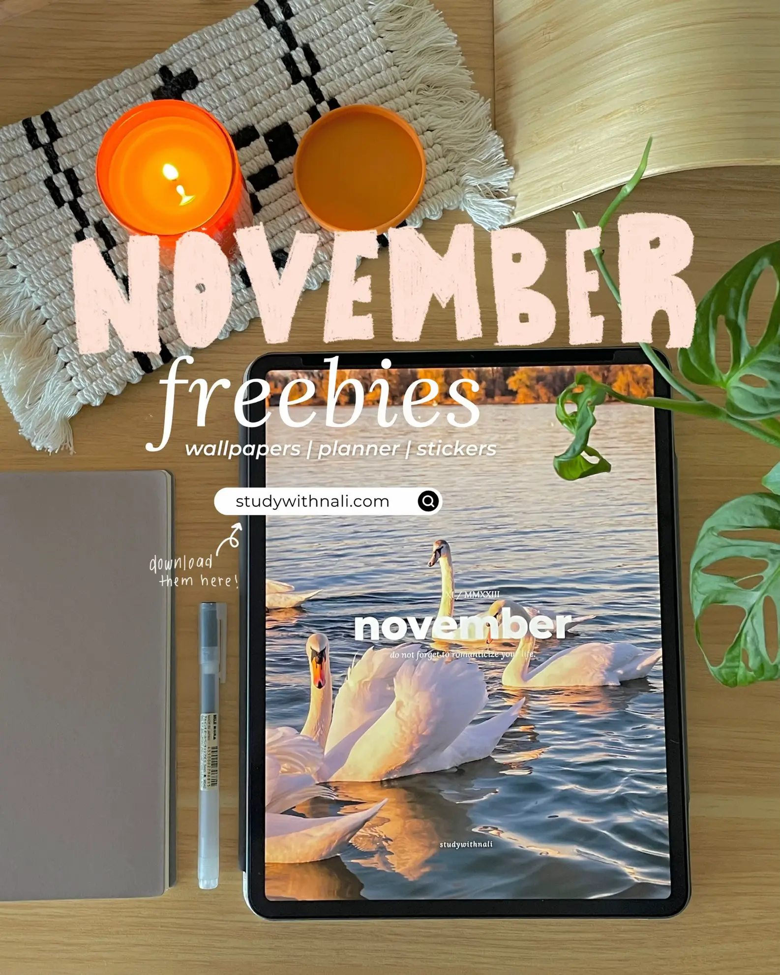 November freebies 🦢 | Gallery posted by studywithnali | Lemon8