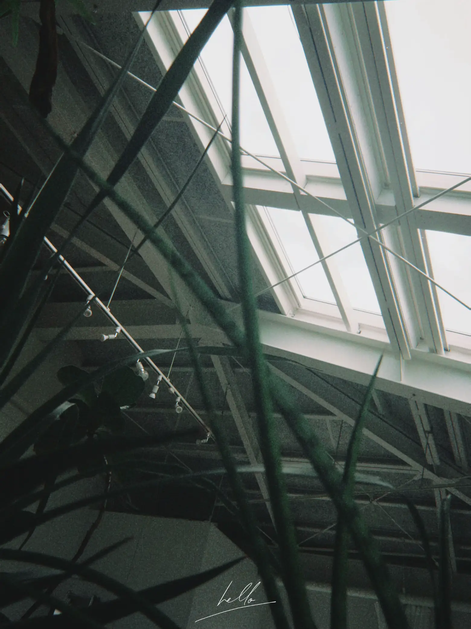 簡単にエモ写真💐【iPhoneでエモい写真】 | RYOが投稿したフォトブック | Lemon8