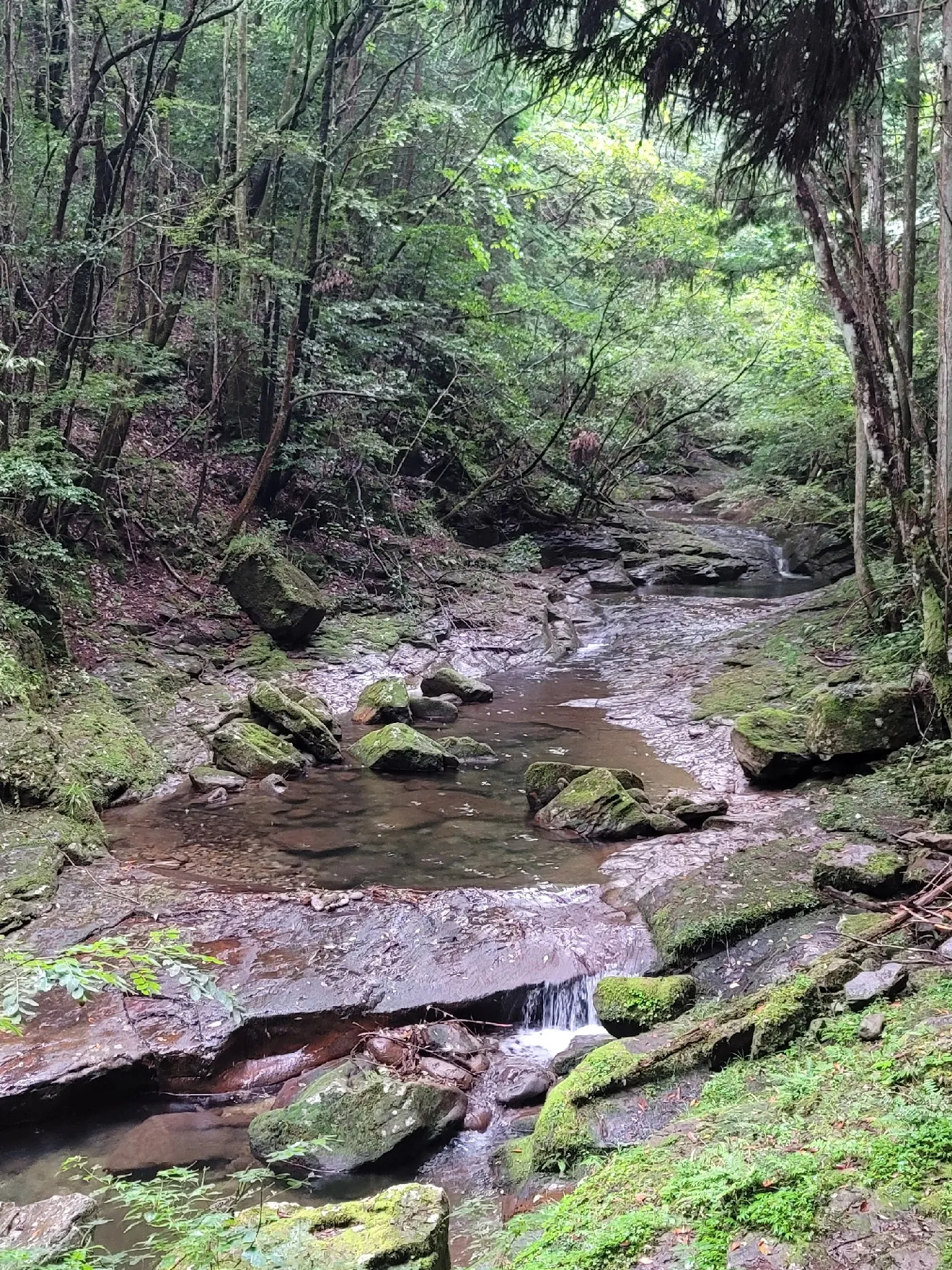【三重・奈良】お盆旅行⑭ 深谷龍鎮渓谷～奈良市カフェ R5.8/14 | ももが投稿したフォトブック | Lemon8