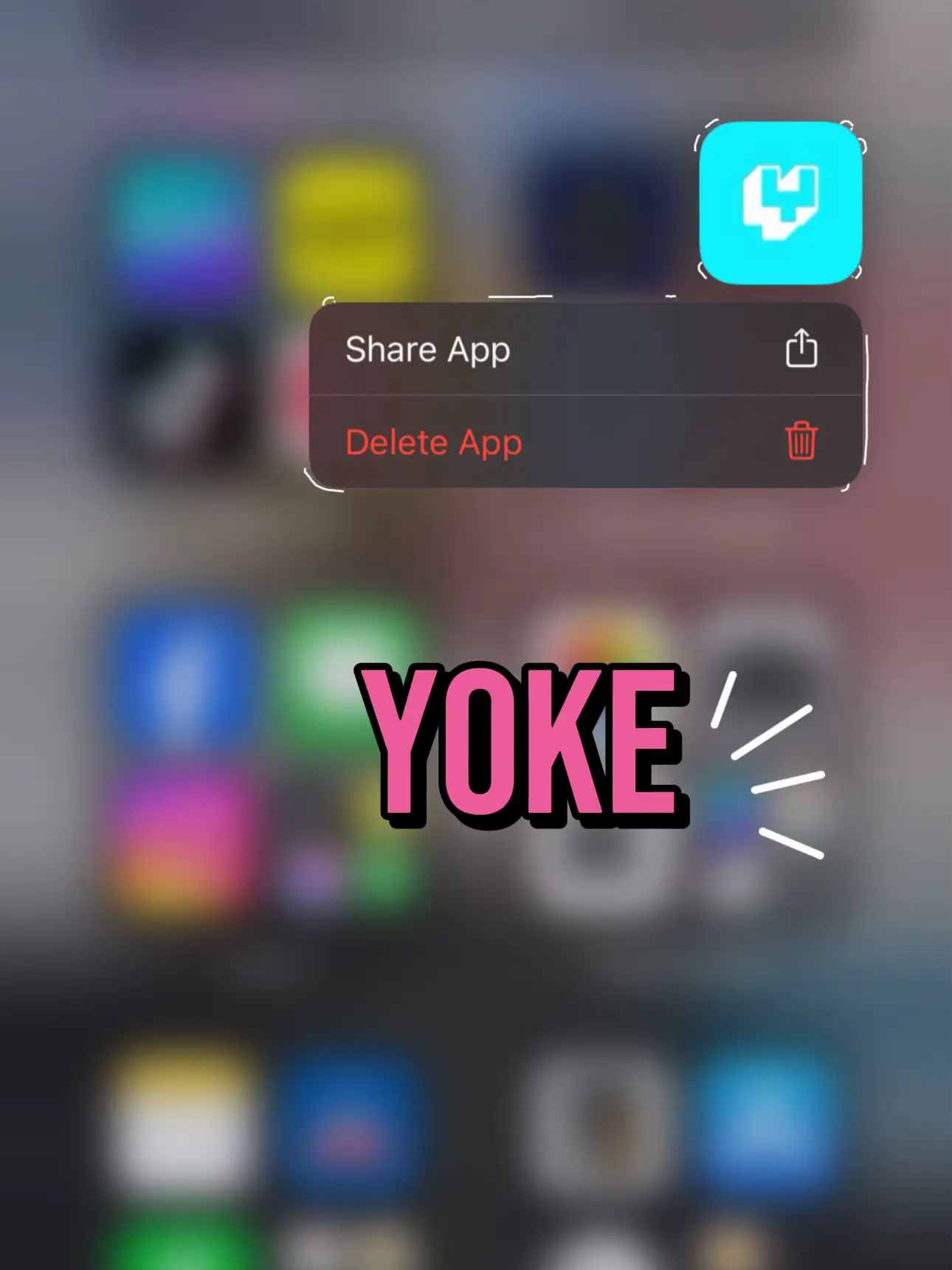 Online - Lemon8 Search