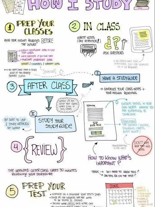 Study - Lemon8 Search